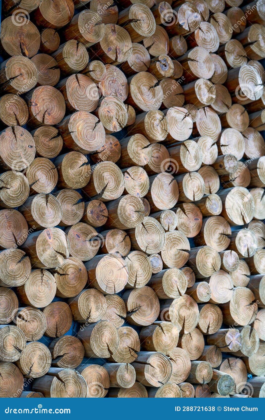 Pile of Dry Logs for Firewood Closeup Stock Photo - Image of pile ...