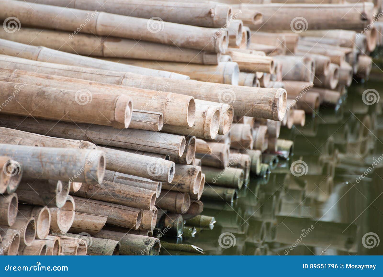Pile of Dry Sticks Bamboo on Waterside Stock Photo - Image of pile ...