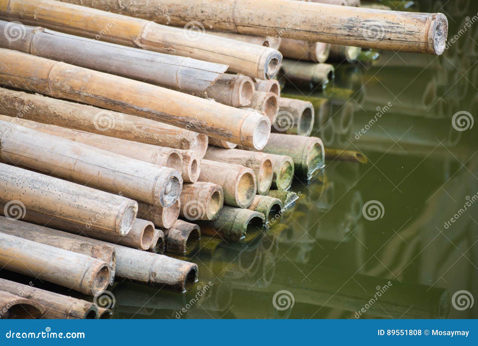 Pile of Dry Sticks Bamboo on Waterside Stock Photo - Image of jungle ...