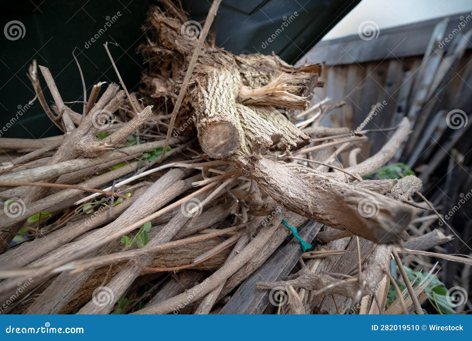 Pile of Dry Sticks and Broken Branches is Pictured in an Outdoor ...
