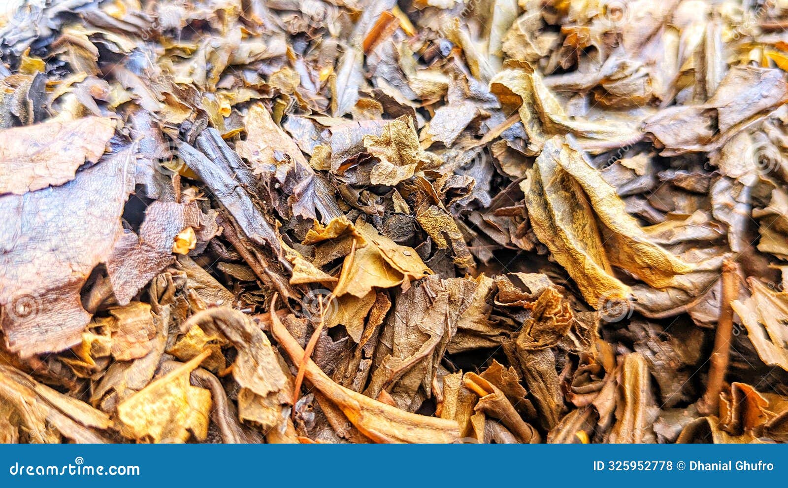 Pile of Dry Tea Leaves, Indonesian Tea Stock Photo - Image of leaves ...
