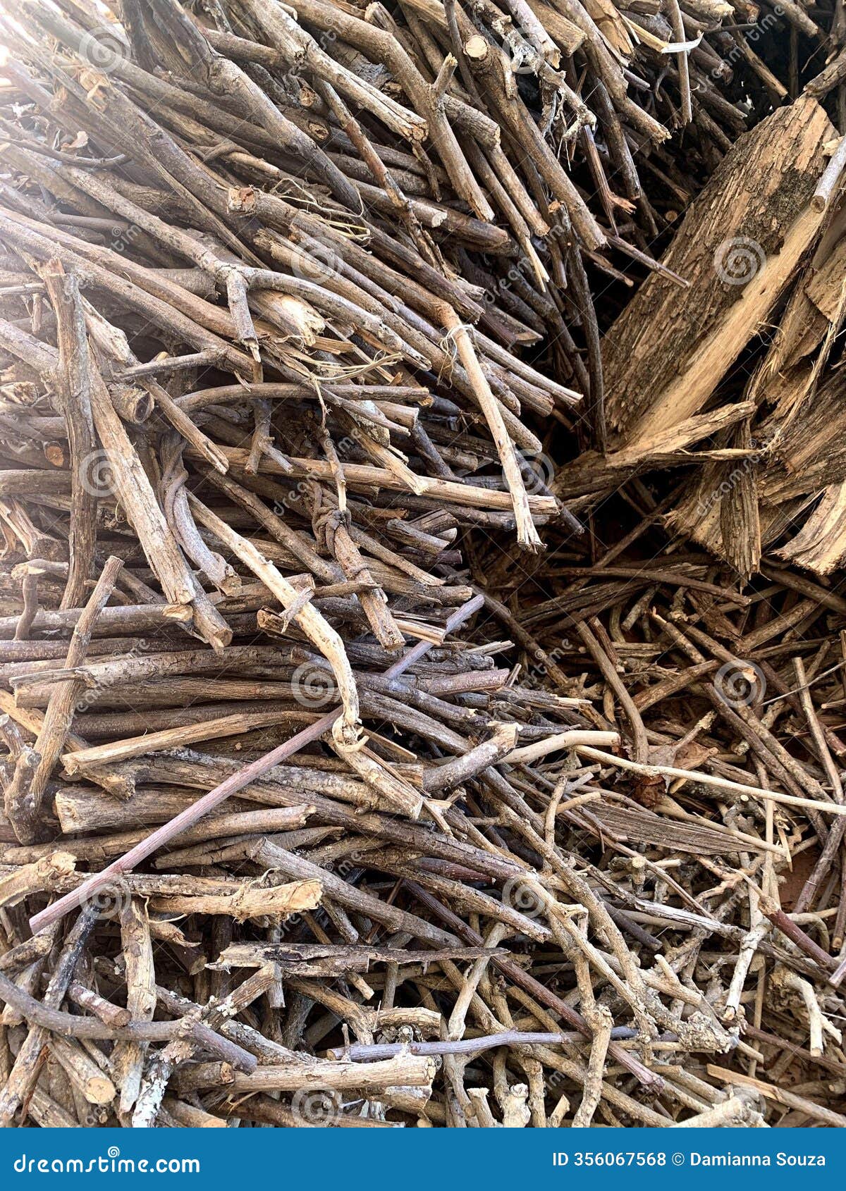 Branches pile of dry twigs stock photo. Image of pile - 356067568