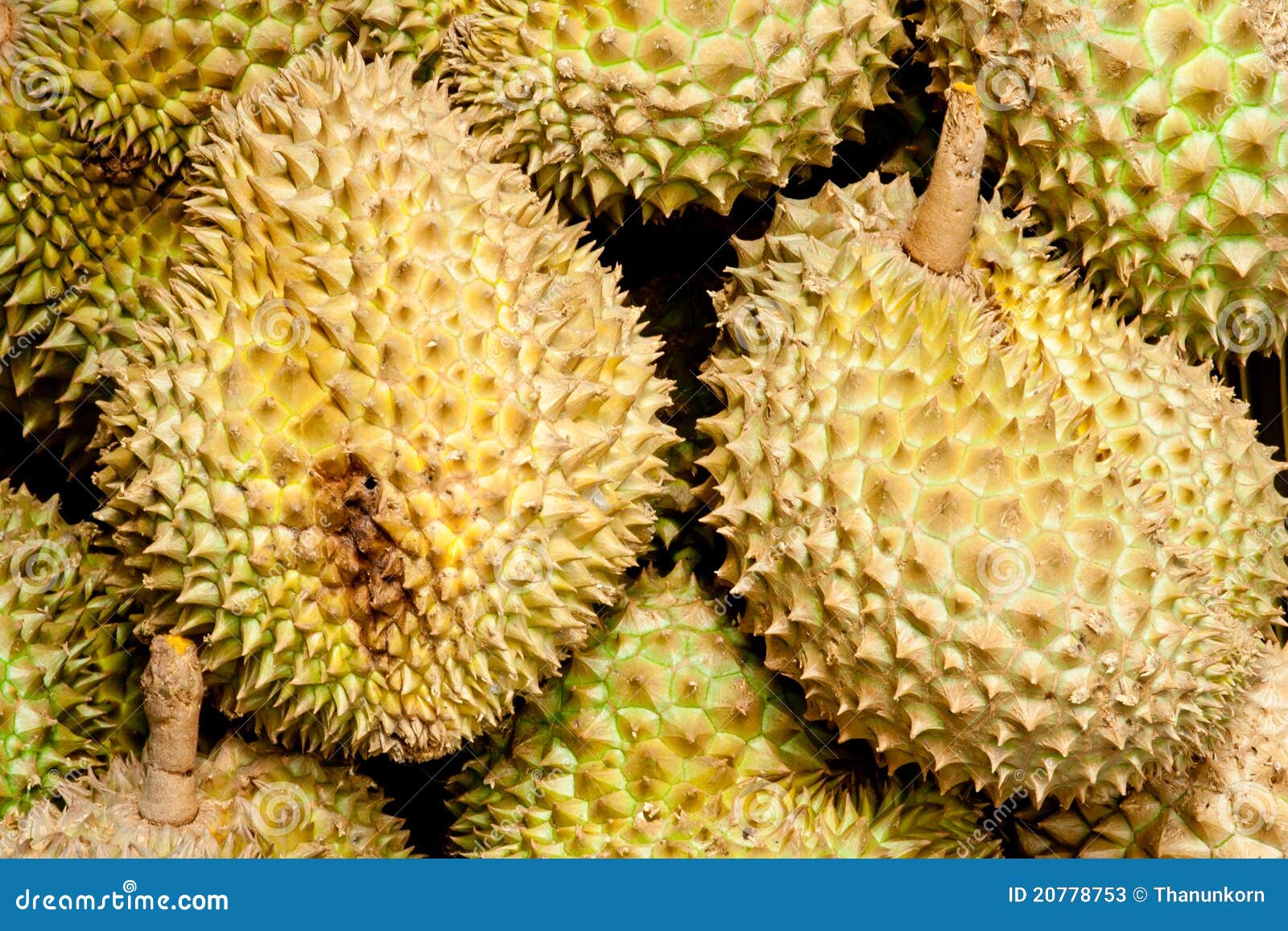 Pile of Durians stock image. Image of tropical, spiked - 20778753