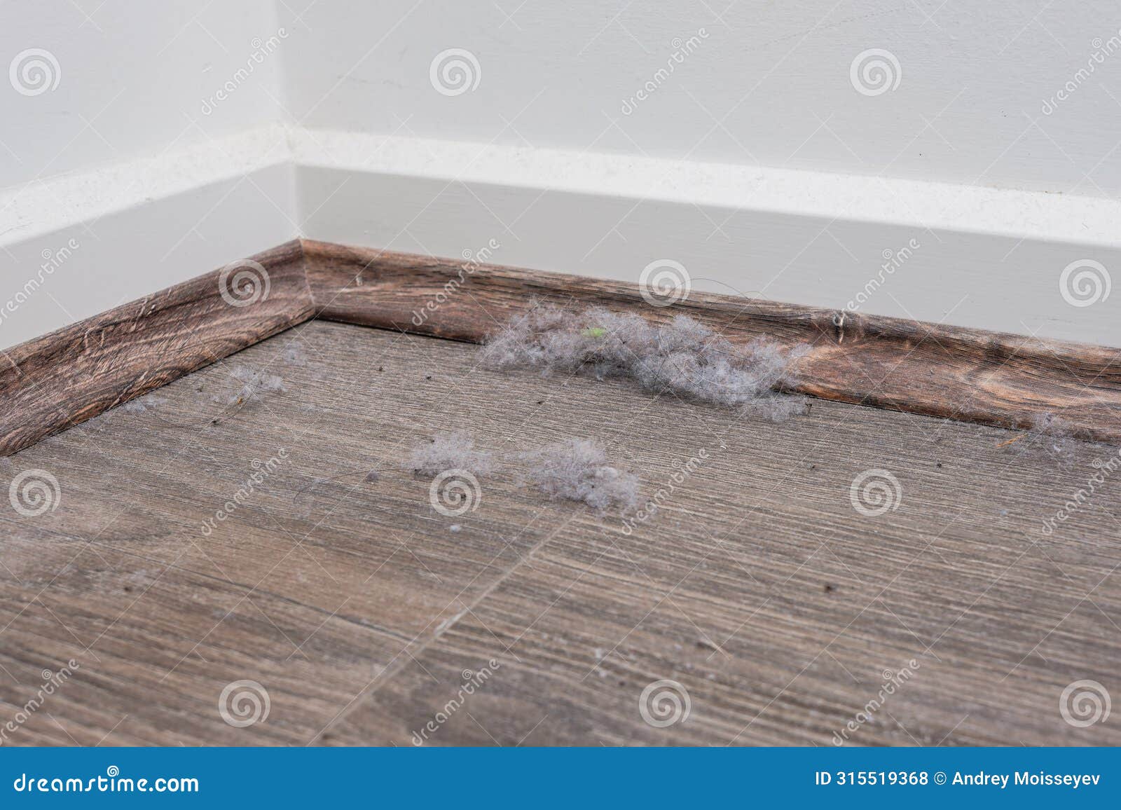 Pile of Dust on the Floor in the Corner of the Room Stock Photo - Image ...
