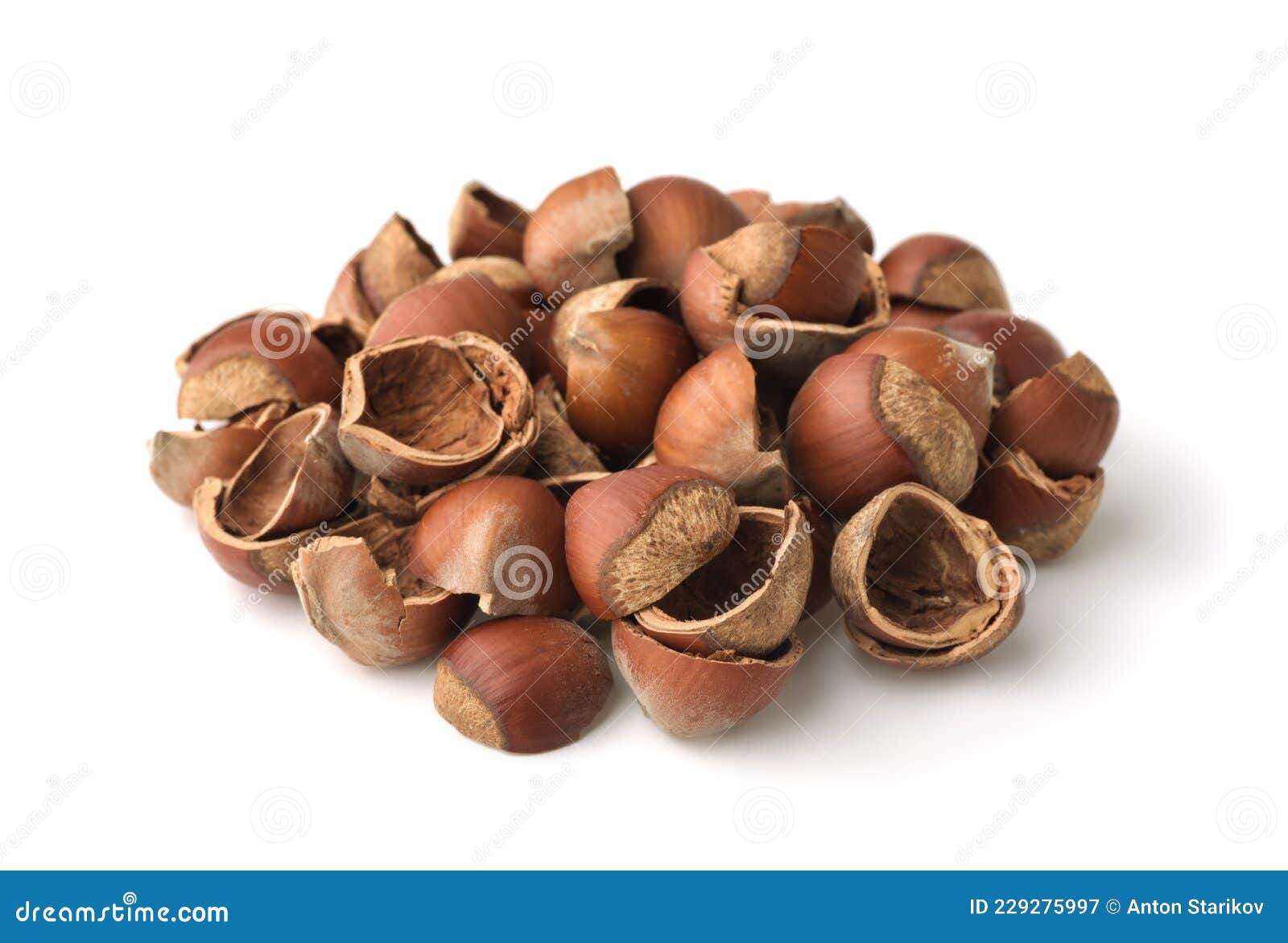 Pile of Empty Cracked Hazelnut Shells Stock Image - Image of natural ...