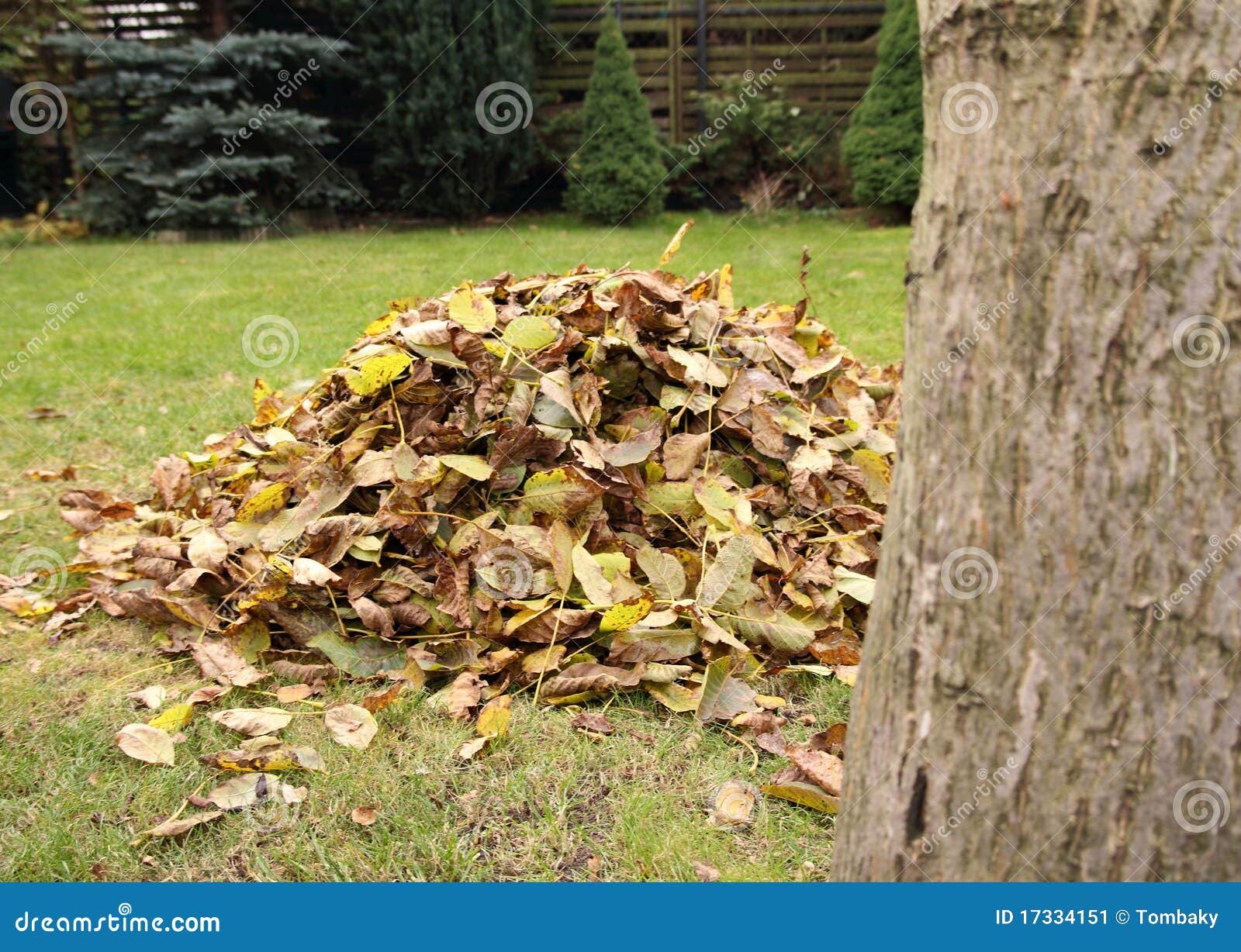 Pile of Fallen Autumn Leaves Stock Image - Image of ground, green: 17334151