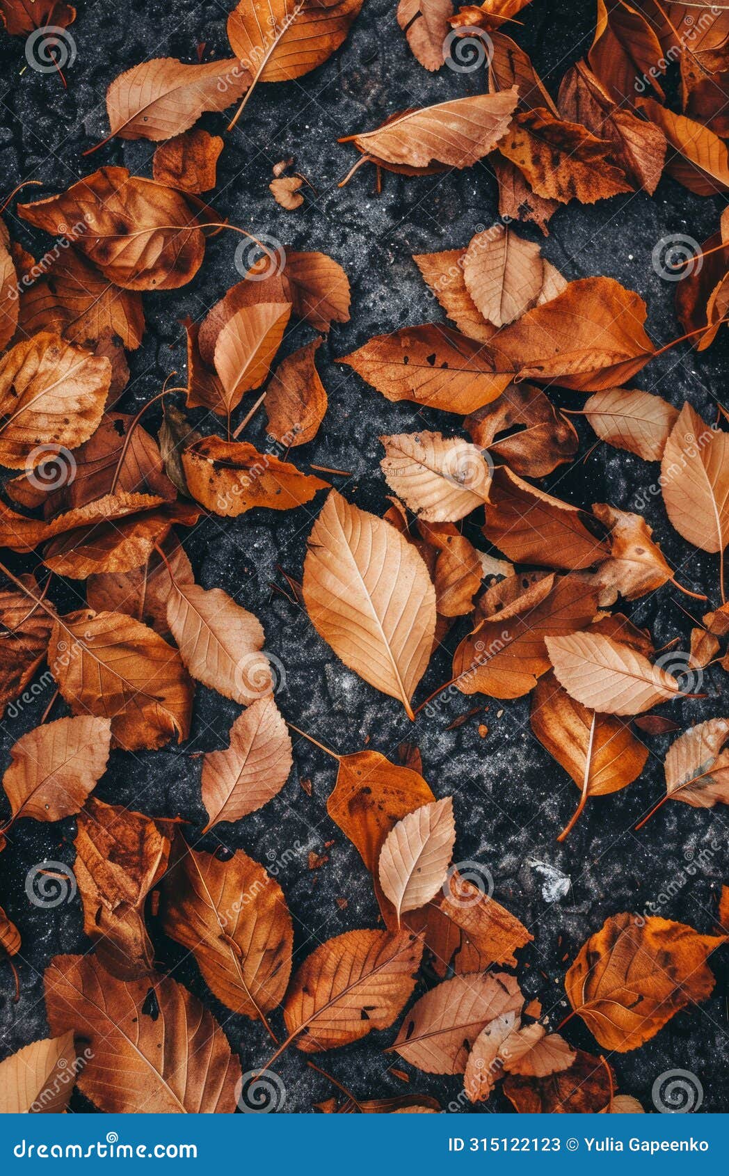 Pile of Fallen Leaves on the Ground Stock Image - Image of generative ...