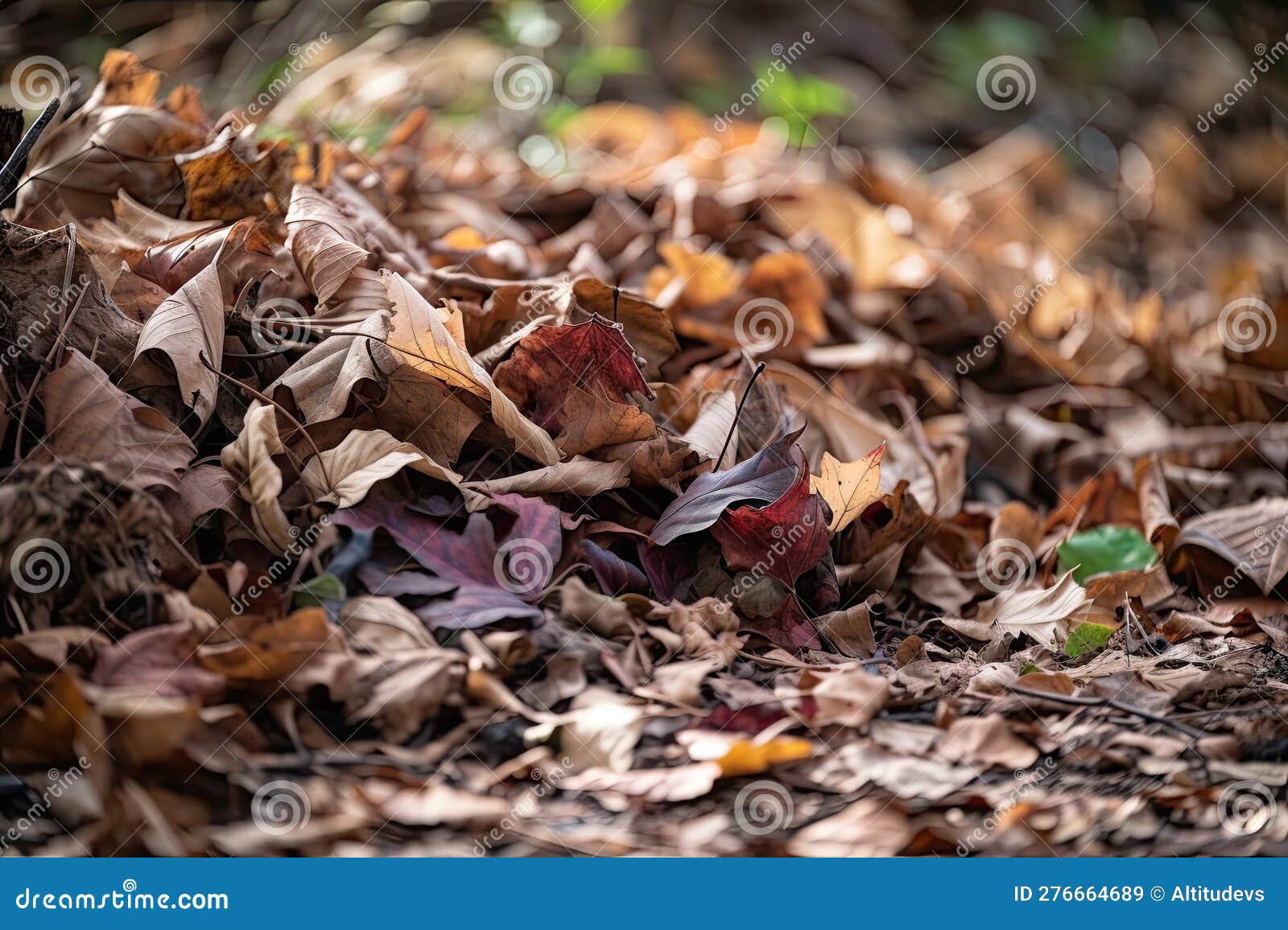 Pile of Fallen Leaves, Rustling in the Breeze Stock Image - Image of ...