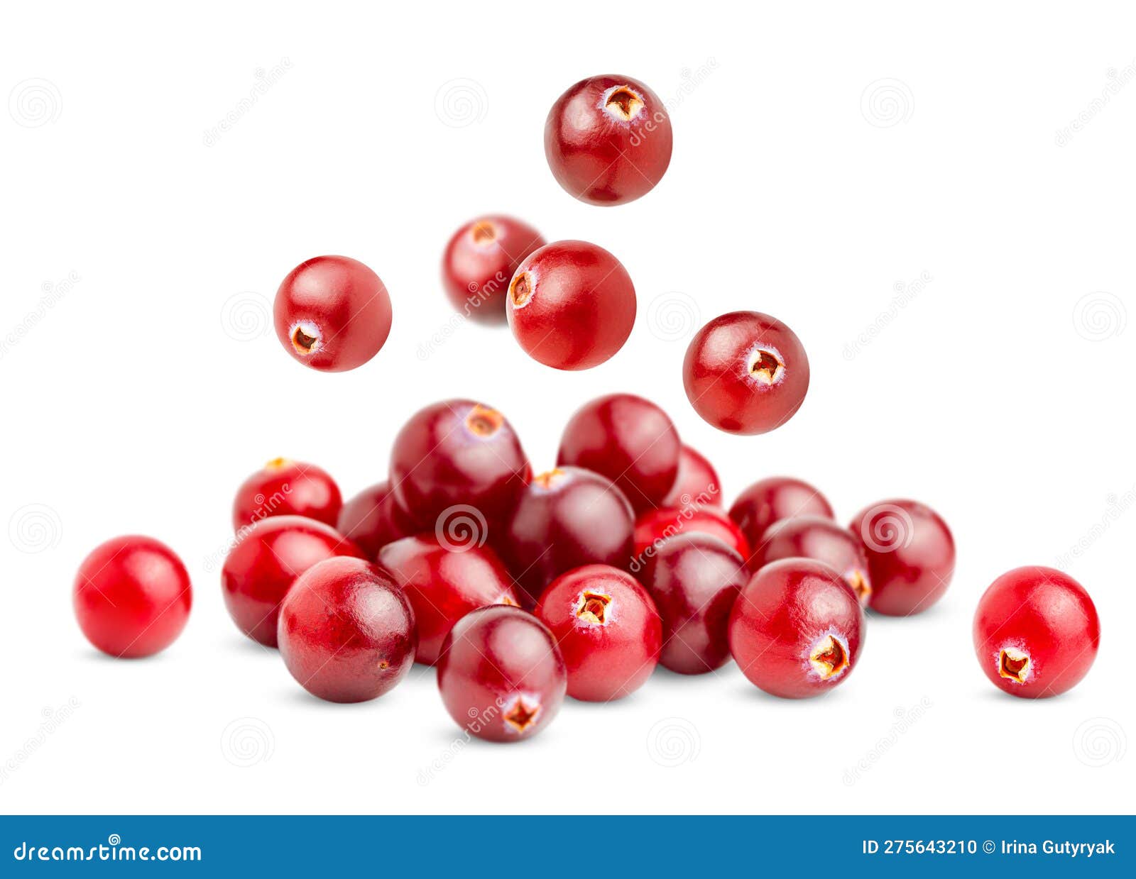Pile with Falling Cranberries Stock Photo - Image of ripe, background ...