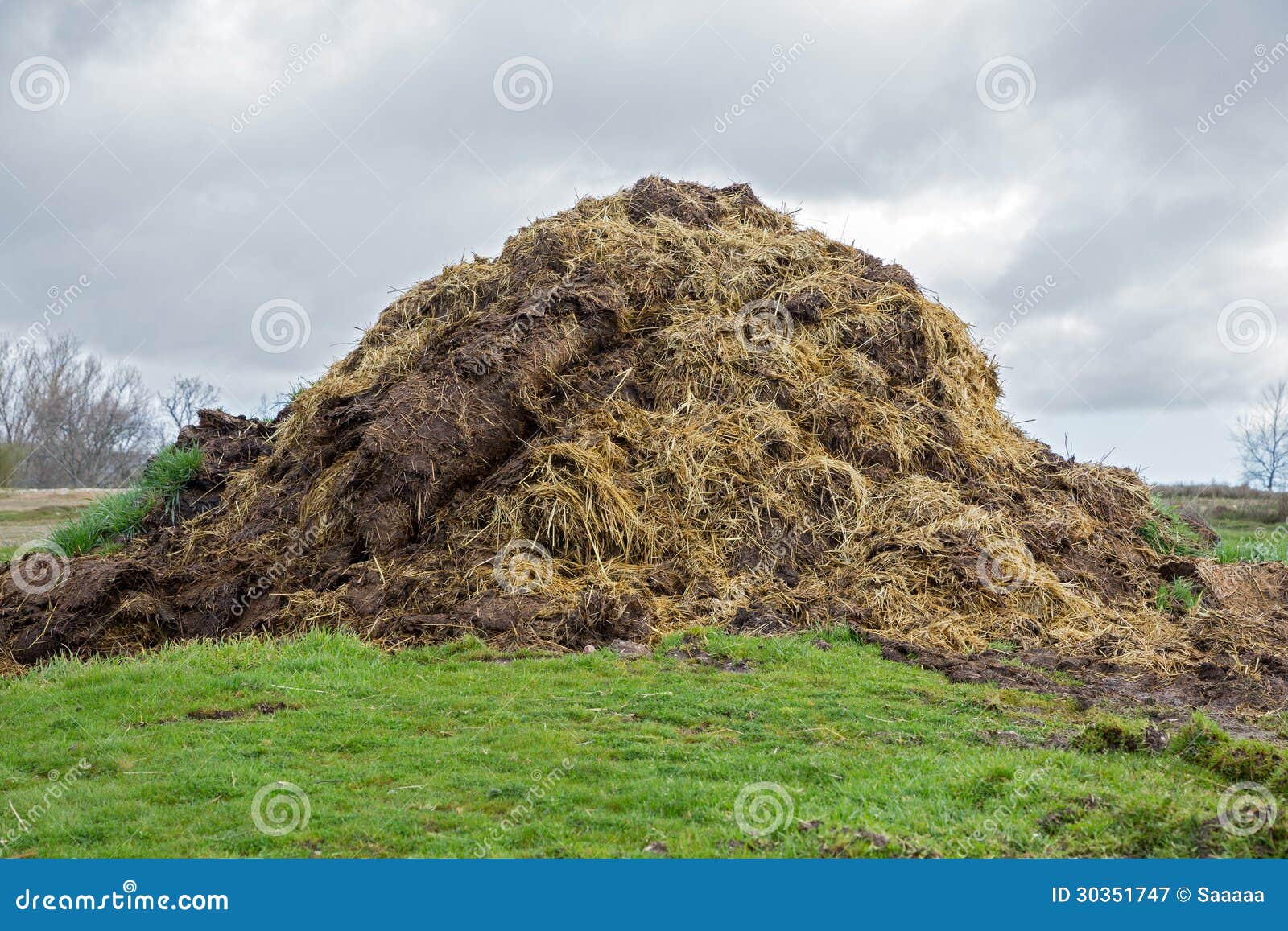 Pile of Fertilizer stock image. Image of grass, closeup - 30351747