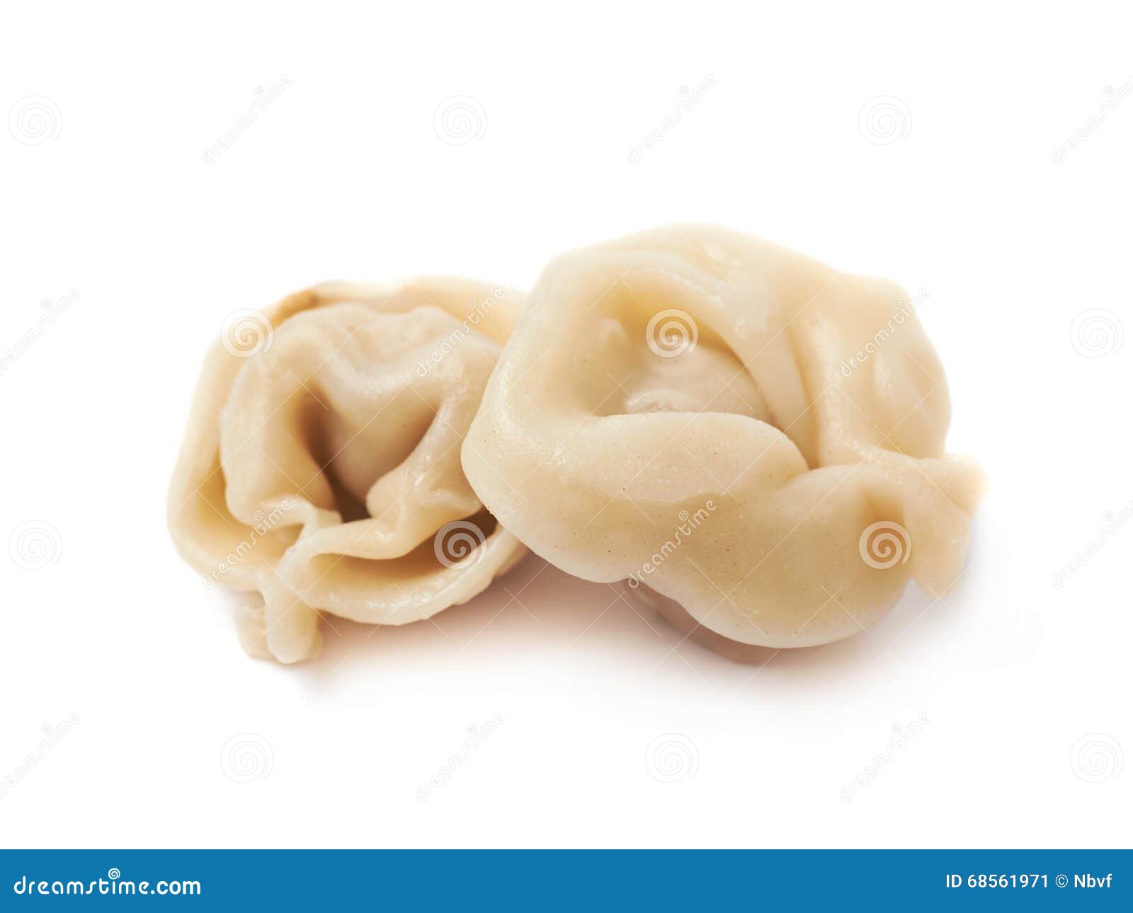 Pile of Few Cooked Dumplings Stock Image - Image of pork, cooked: 68561971