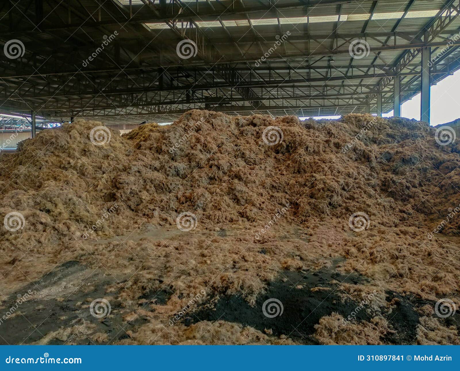 Pile of Fiber and Efb from Palm Fruit Stock Image - Image of market ...