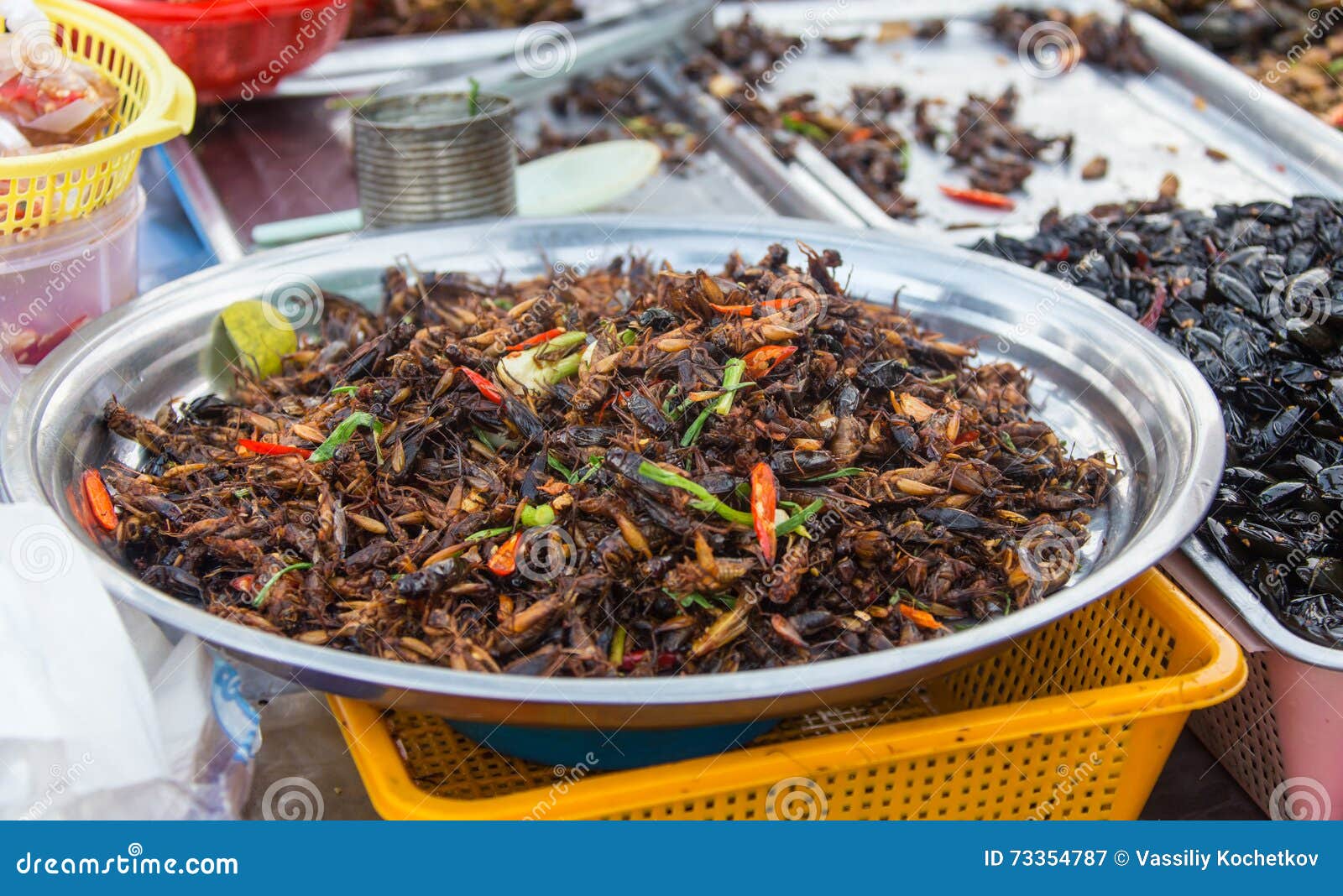 Pile of Filthy Dishes Infested with Roaches Stock Image - Image of ...