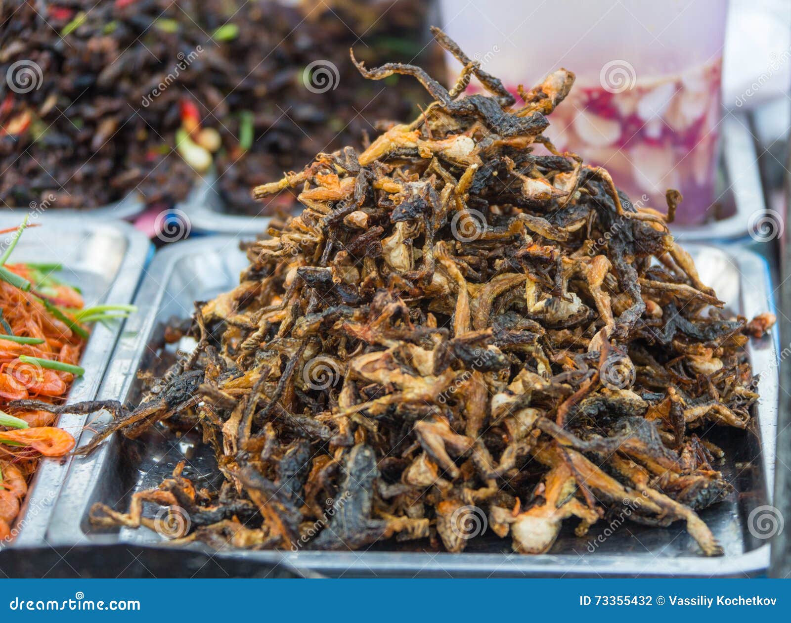 Pile of Filthy Dishes Infested with Roaches Stock Photo - Image of ...