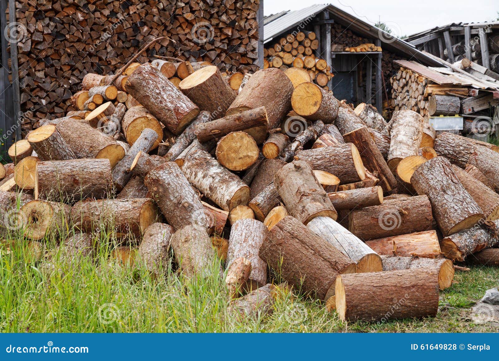 Pile of firewood stock photo. Image of front, stack, natural - 61649828