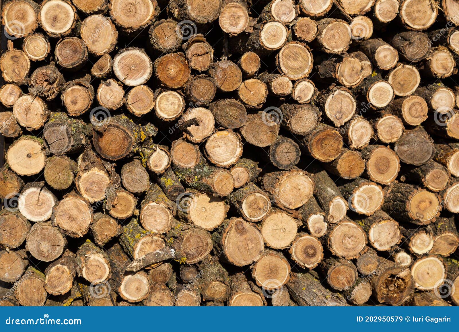 Stack Of Sawn Timber, Wood Texture. Stock Image | CartoonDealer.com ...