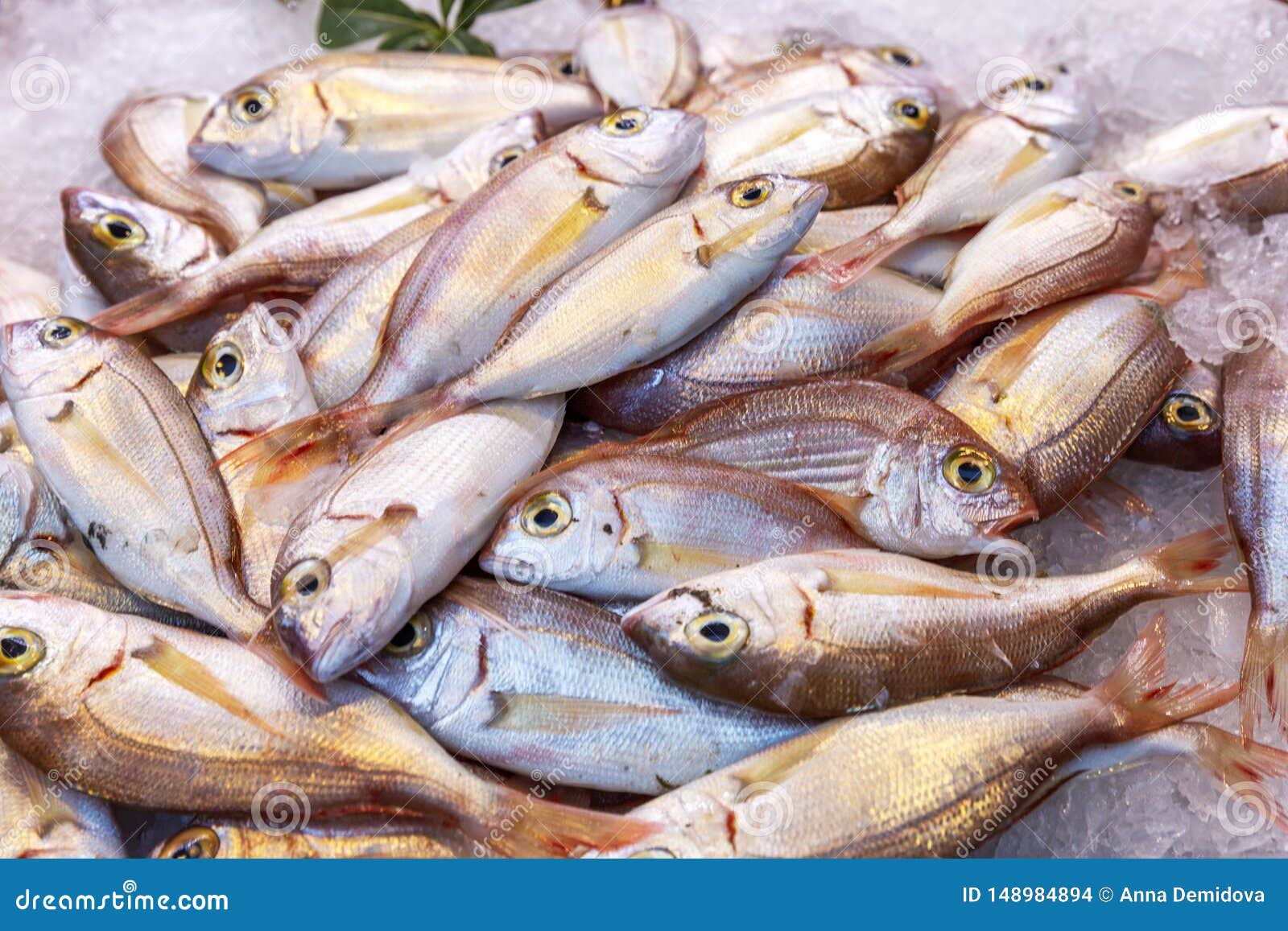 Pile of Fish in the Market, Close-up Stock Photo - Image of culture ...