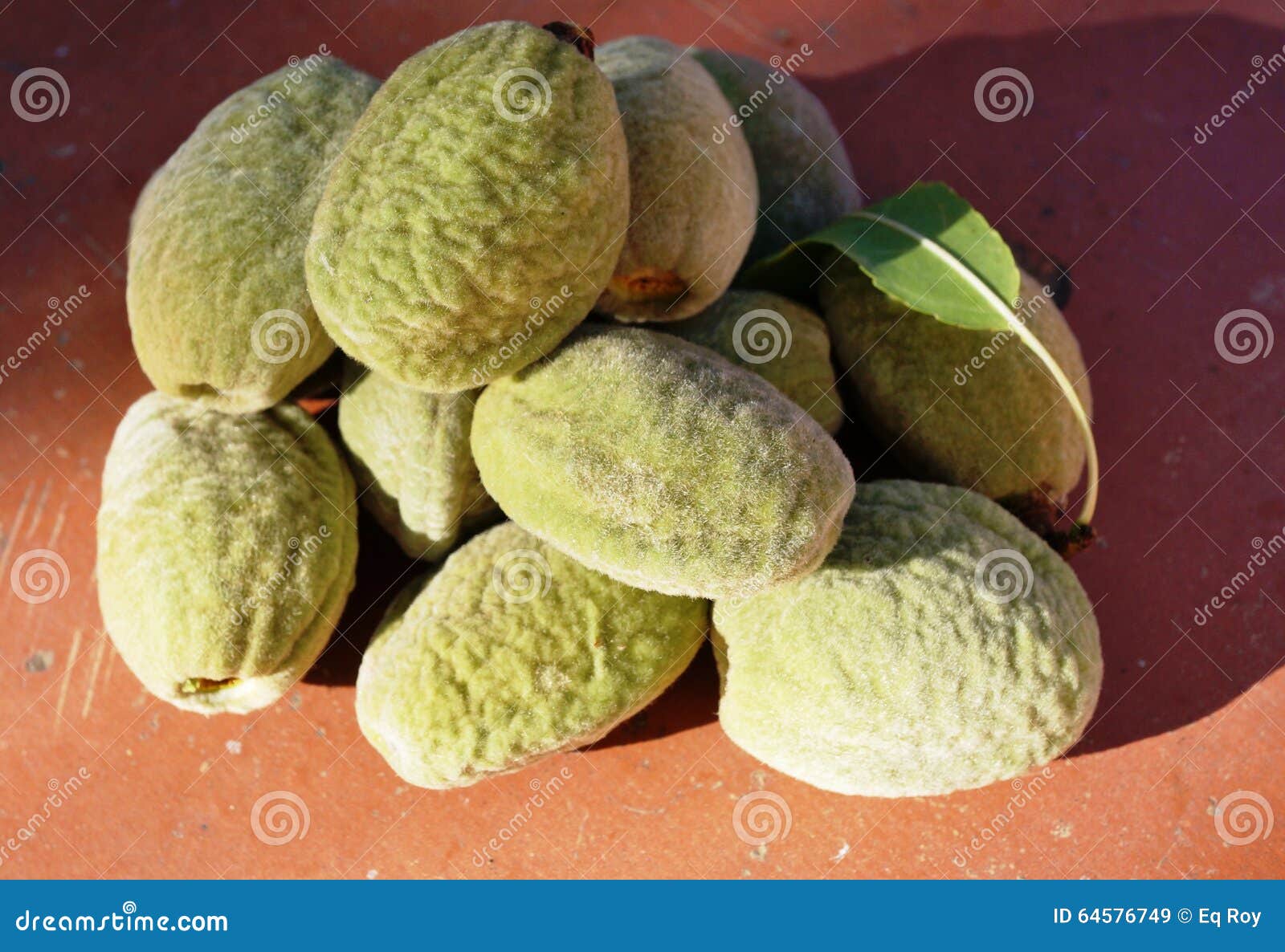 Pile of Fresh Almonds in the Shell Stock Image - Image of healthy ...