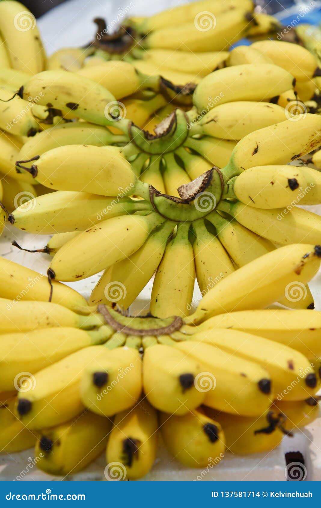Pile of fresh bananas stock photo. Image of brazilian - 137581714