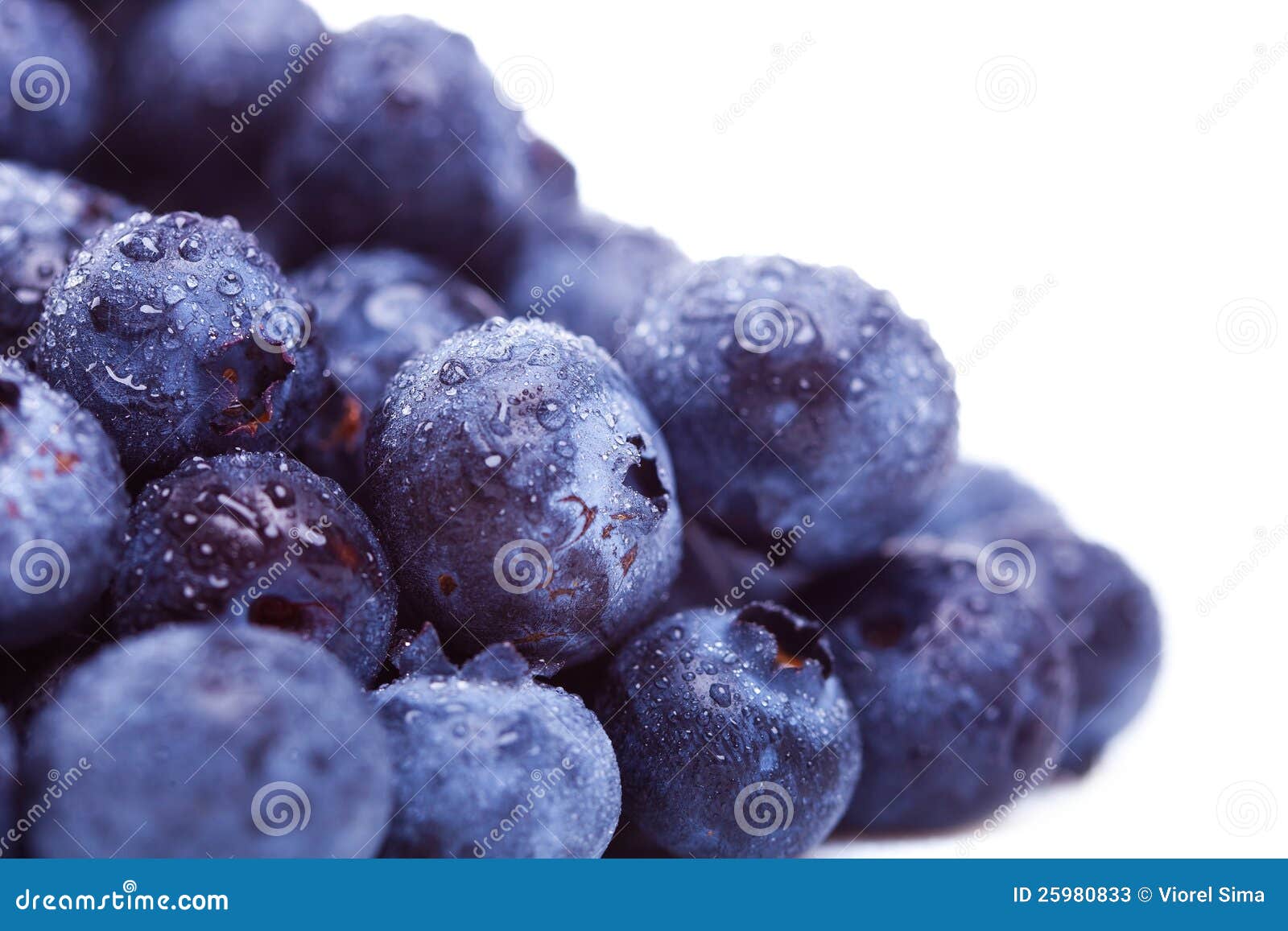Pile of Fresh Blueberry Fruits Stock Image - Image of white, close ...