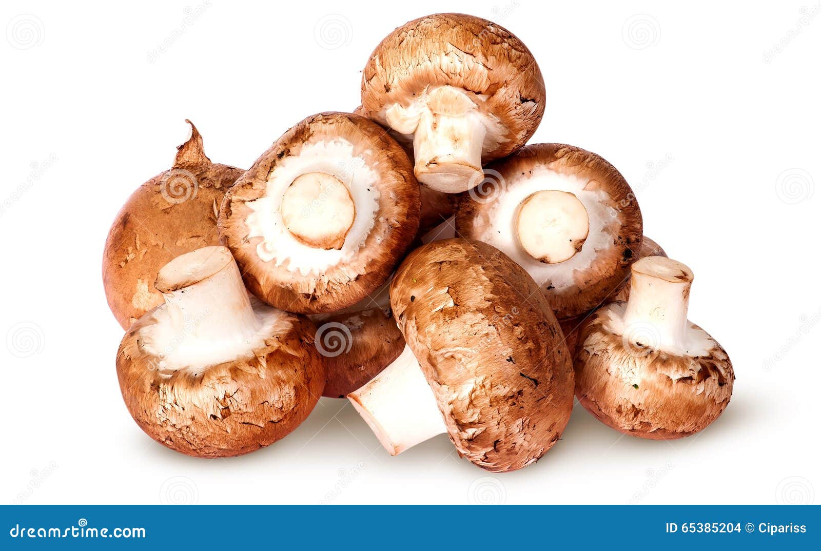 Pile of Fresh Brown Champignon Top View Stock Photo - Image of fresh ...