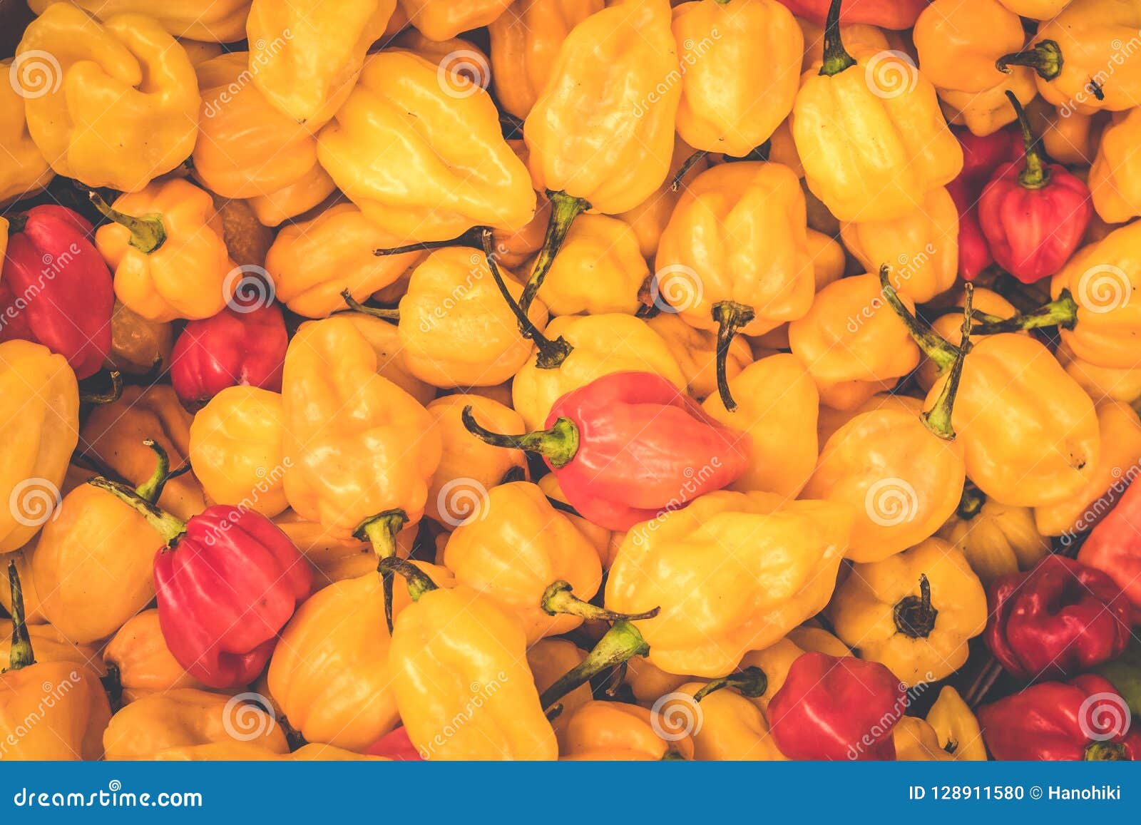Pile of Fresh Chilies, Red , Yellow , Orange Chili Stock Photo - Image ...