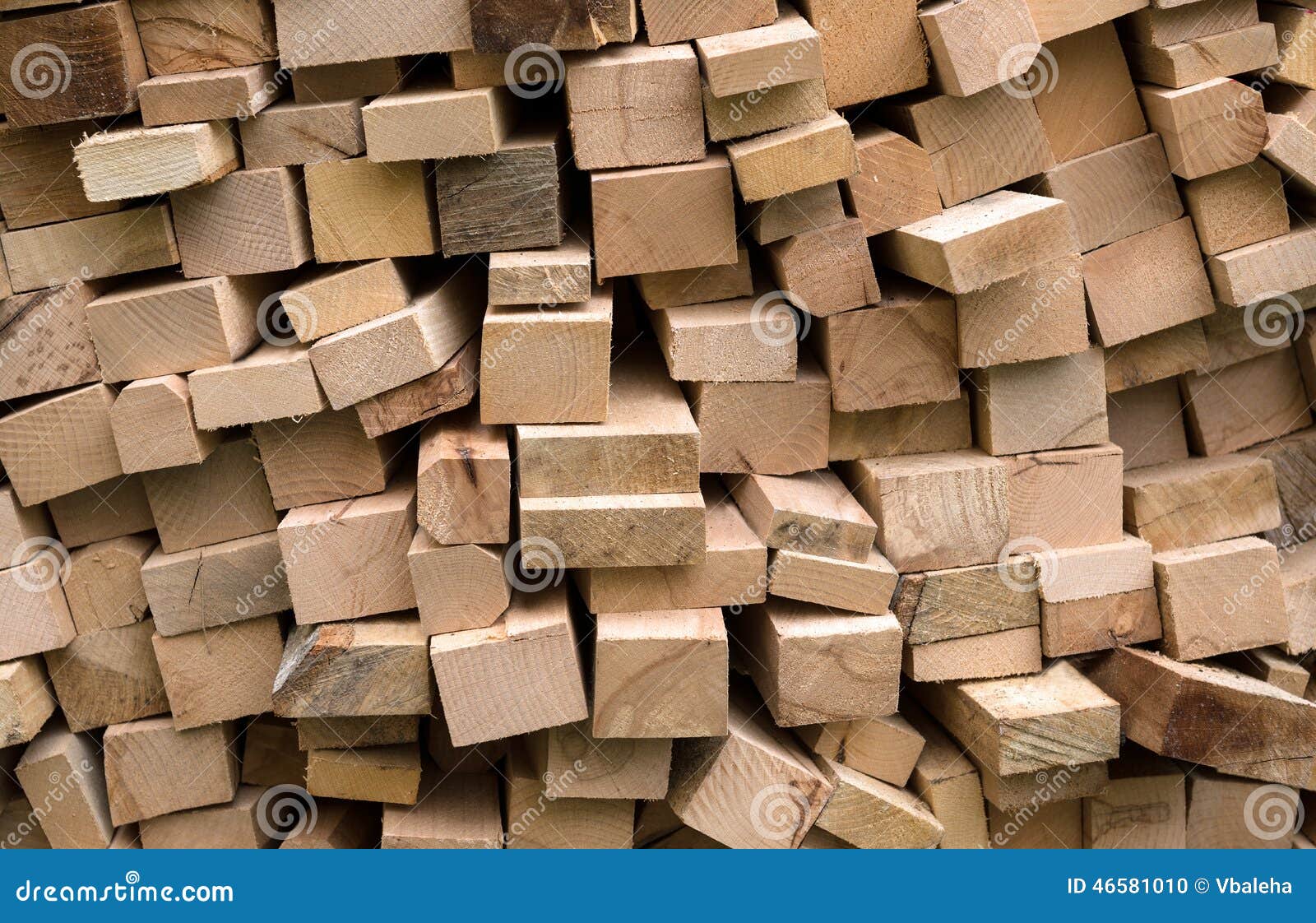 Pile of Fresh Cut Wood Logs Stock Photo - Image of outdoors, forest ...