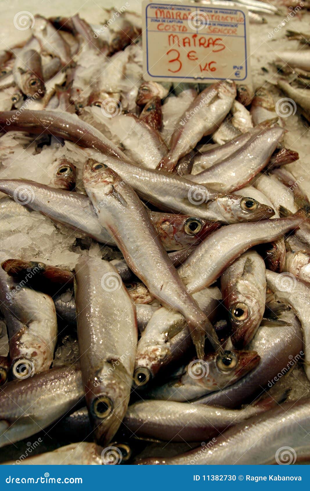 Pile of Fresh Fish at the Spanish Market Stock Photo - Image of ...