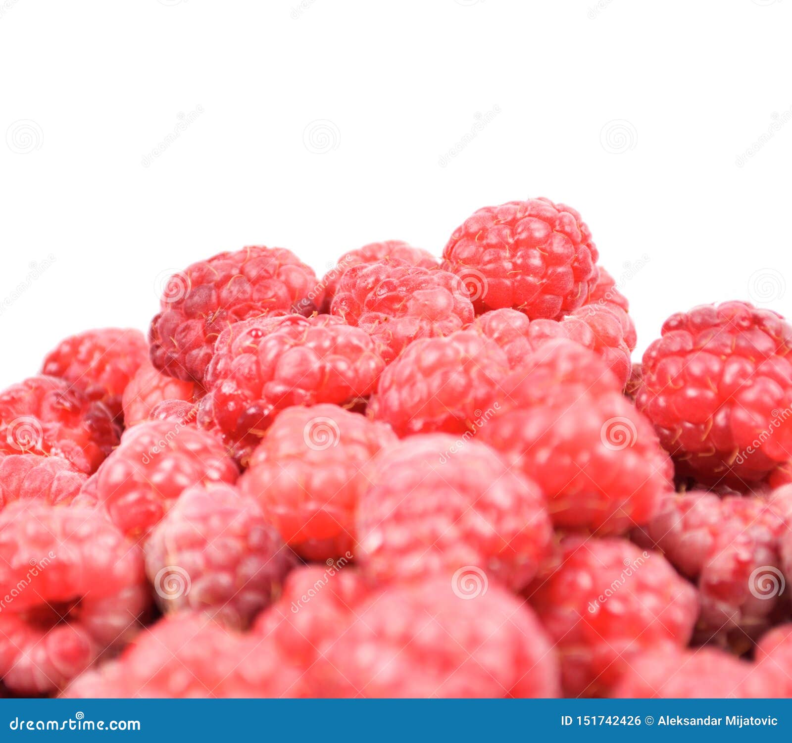 Pile of Fresh Juicy Raspberries Isolated on White Stock Photo - Image ...
