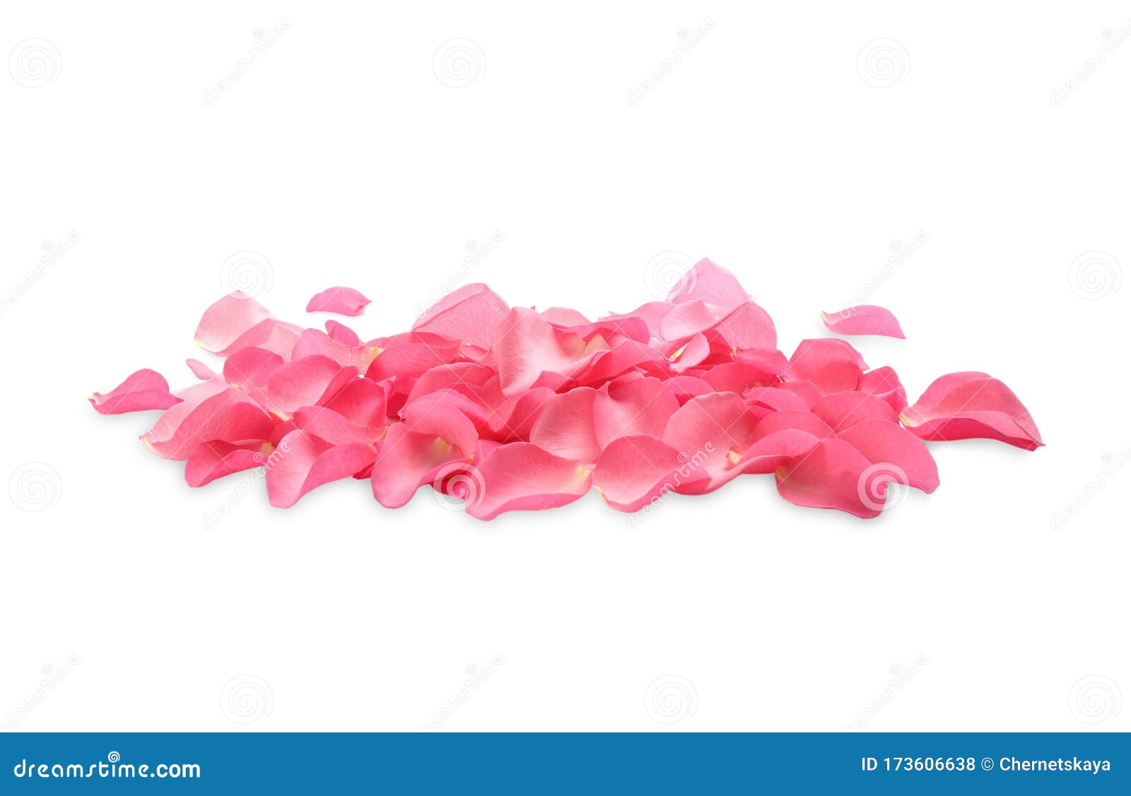 Pile of Fresh Pink Rose Petals on White Background Stock Photo - Image ...