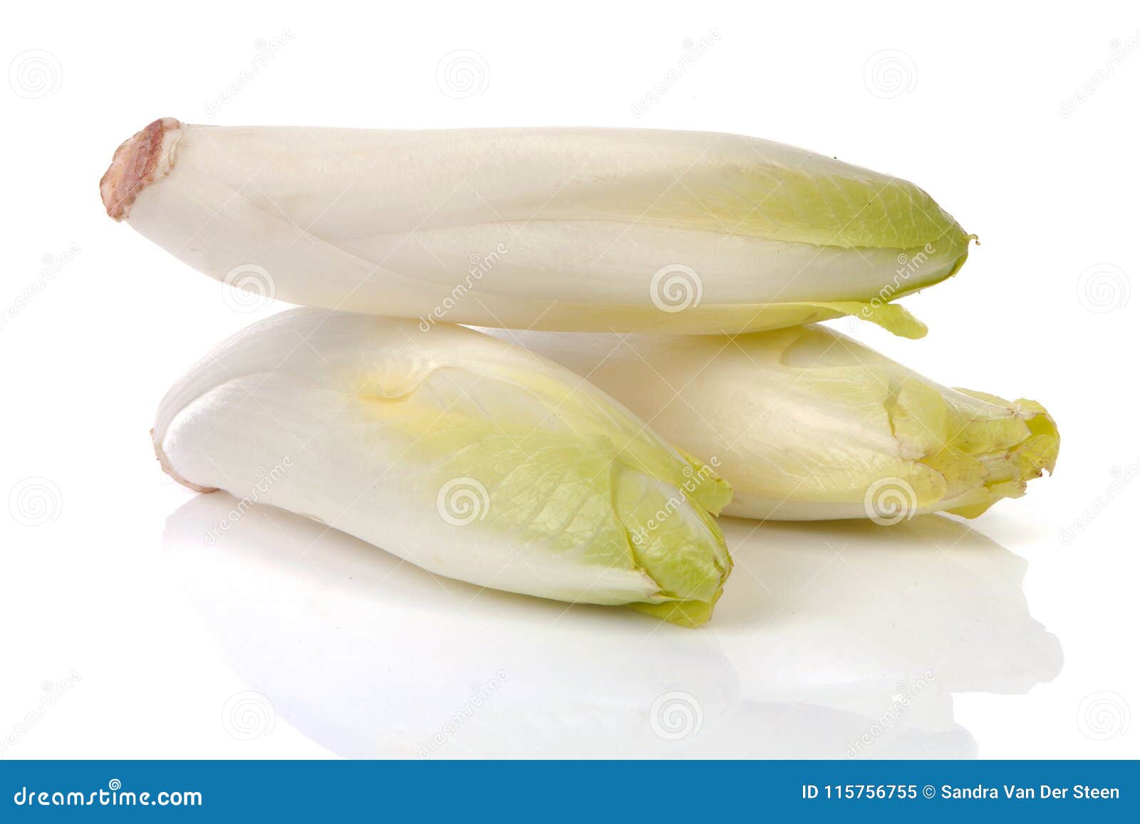 Pile of fresh raw chicory stock image. Image of healthy - 115756755