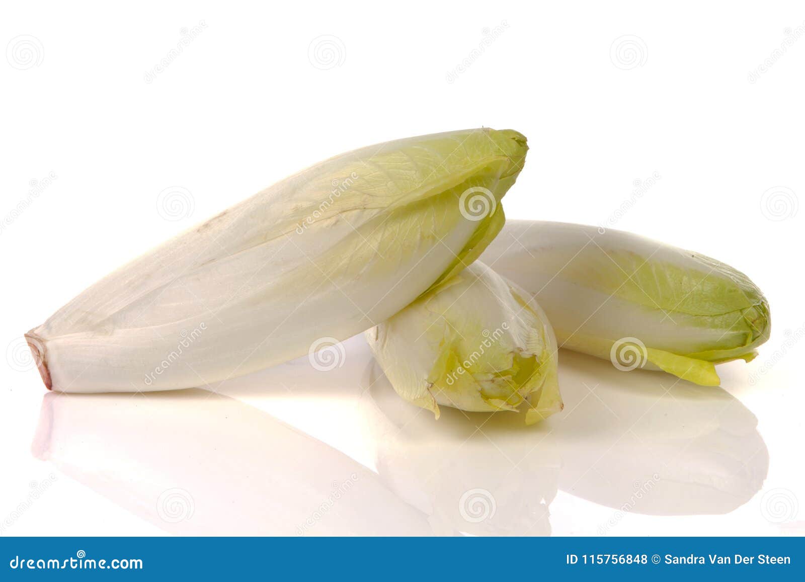 Pile of Fresh Raw Chicory Over White Background Stock Photo - Image of ...