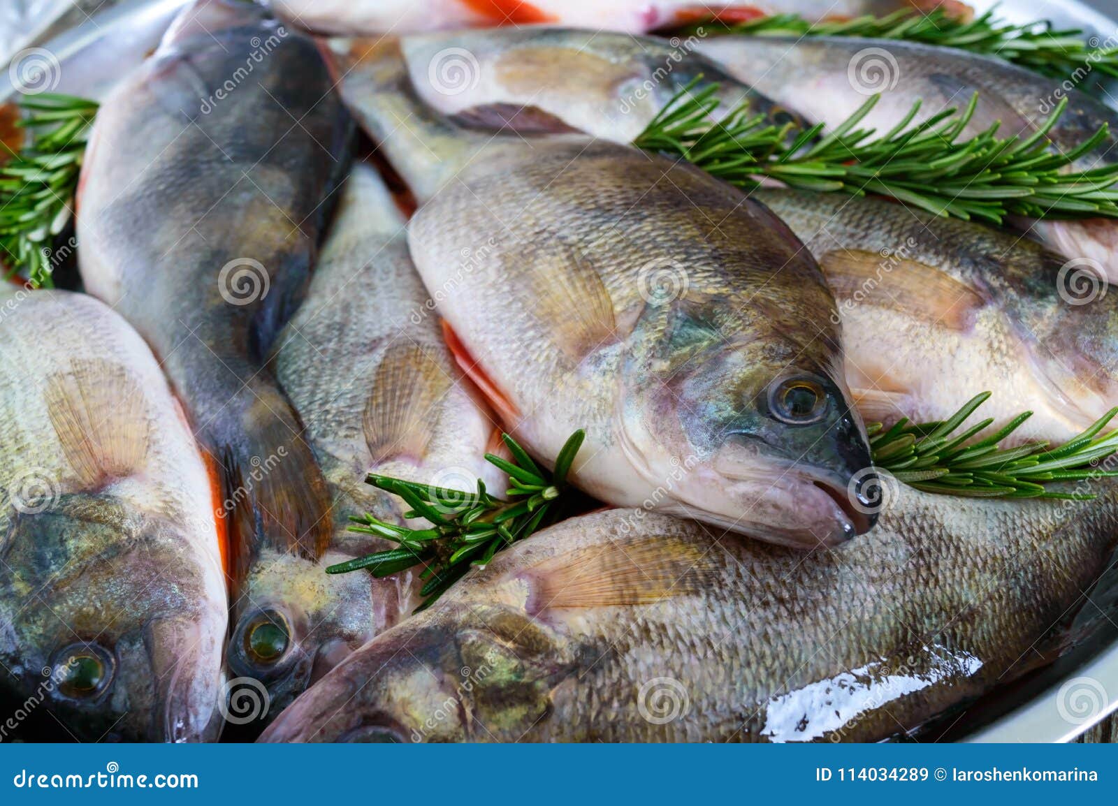 A Pile of Fresh Raw Fish on a Tray. Close-up. Carp Stock Image - Image ...