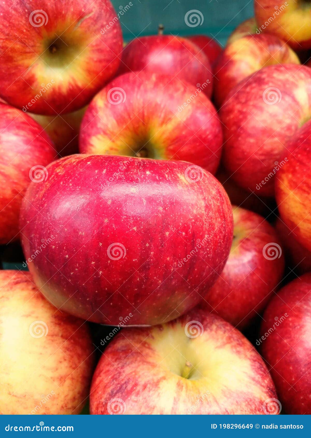 A pile of Fresh red apple stock image. Image of fresh - 198296649