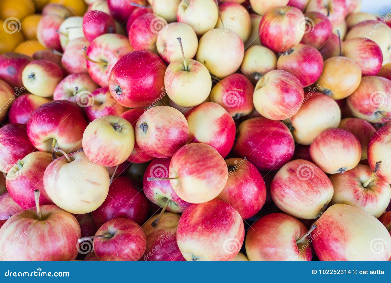 Pile Fresh Red Apples . Texture and Background Stock Photo - Image of ...