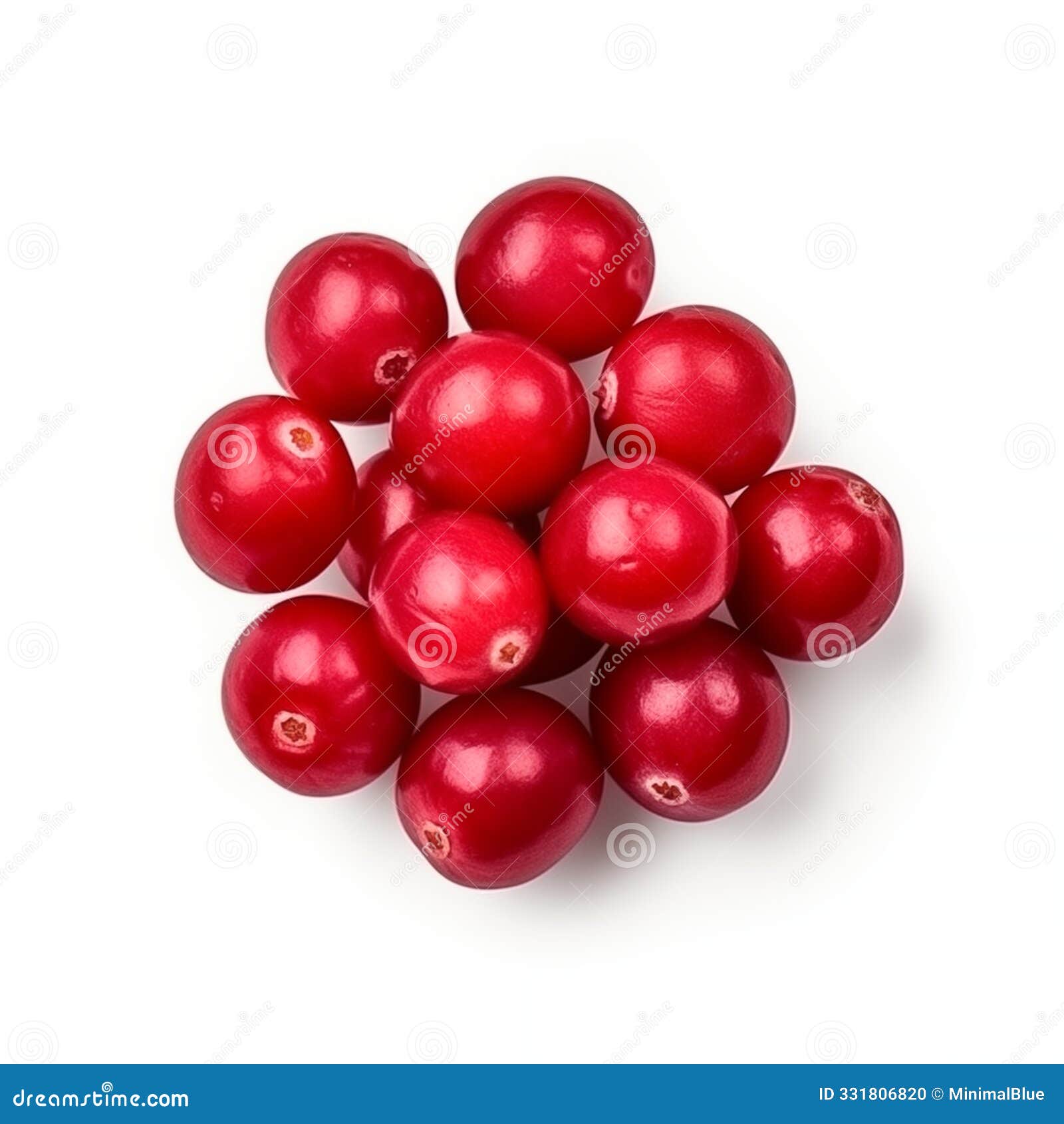 Pile of Fresh Red Cranberries on a White Background Stock Illustration ...