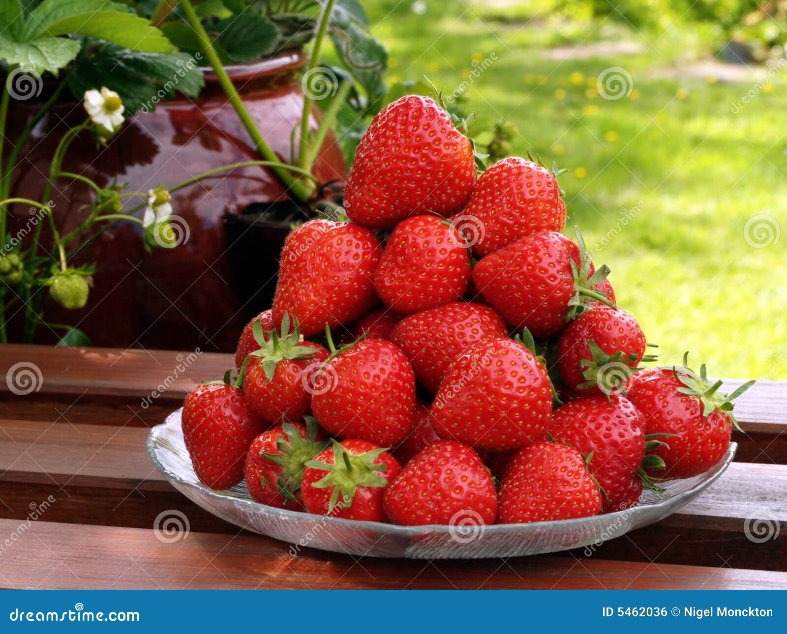 Pile of Fresh Ripe Strawberries Stock Photo - Image of natural, berry ...