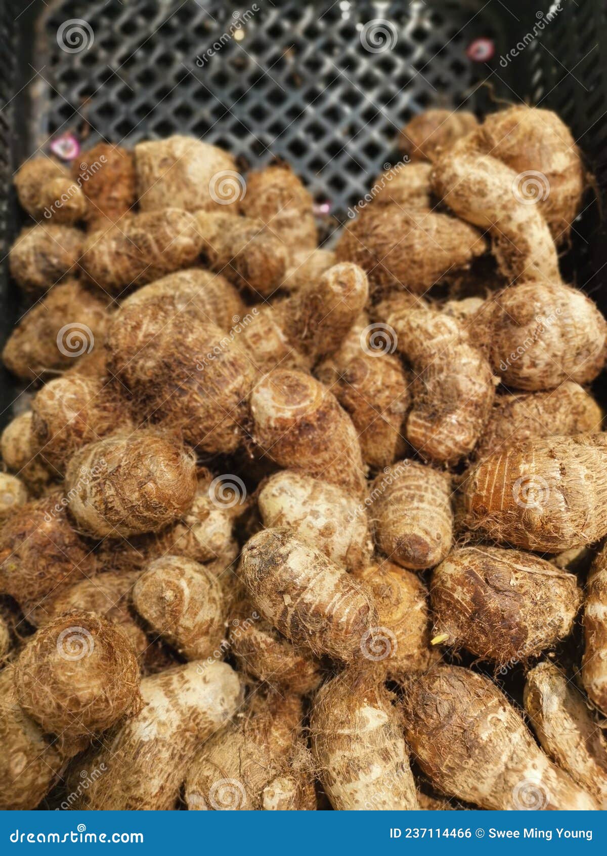 Pile of fresh small yams. stock photo. Image of edible - 237114466