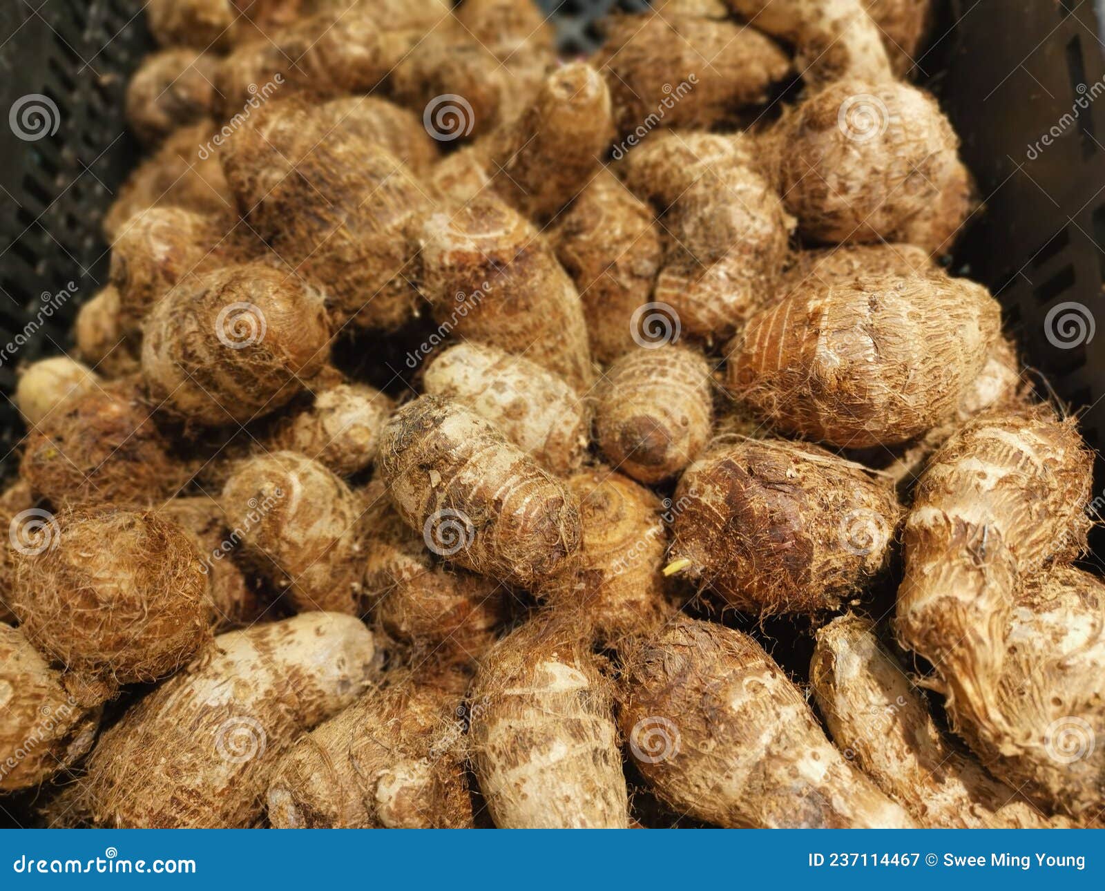 Pile of fresh small yams. stock image. Image of group - 237114467