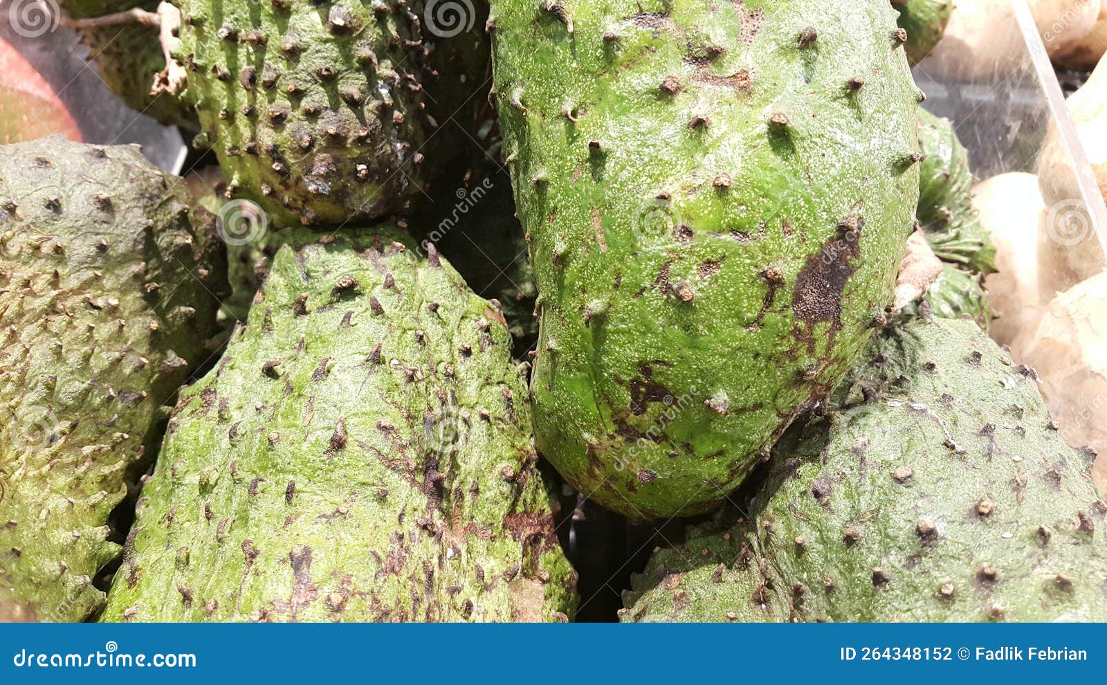 Pile of Fresh Soursop Fruit Stock Photo - Image of diet, soursop: 264348152
