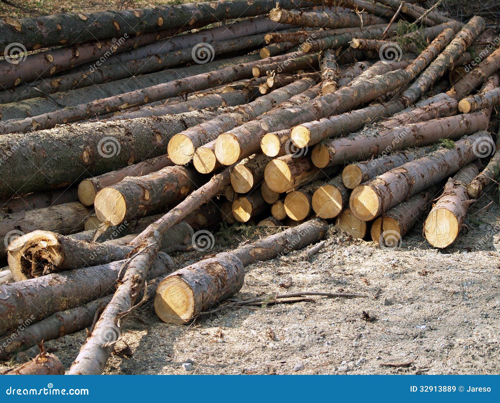 Pile of freshly cut wood stock image. Image of pile, fresh - 32913889