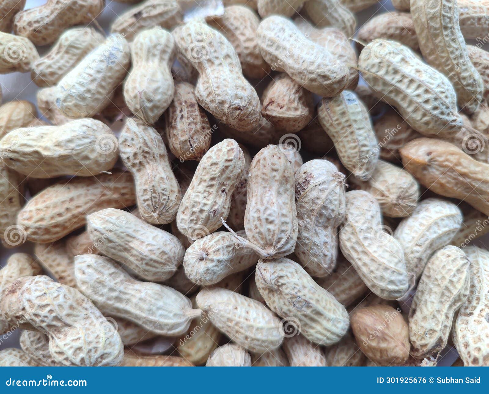A Pile of Freshly Harvested Peanuts Stock Photo - Image of panen, yang ...