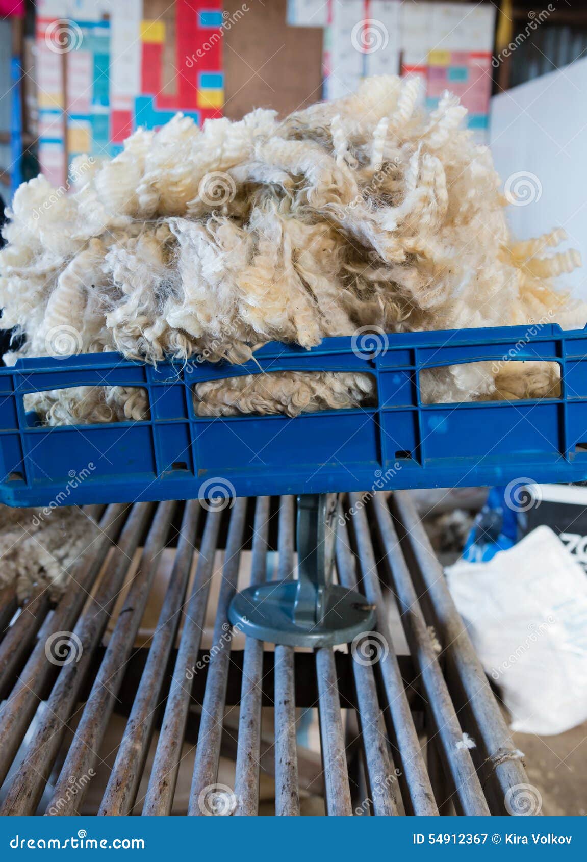Pile of Freshly Shorn Sheepskin on the Scales Stock Image - Image of ...
