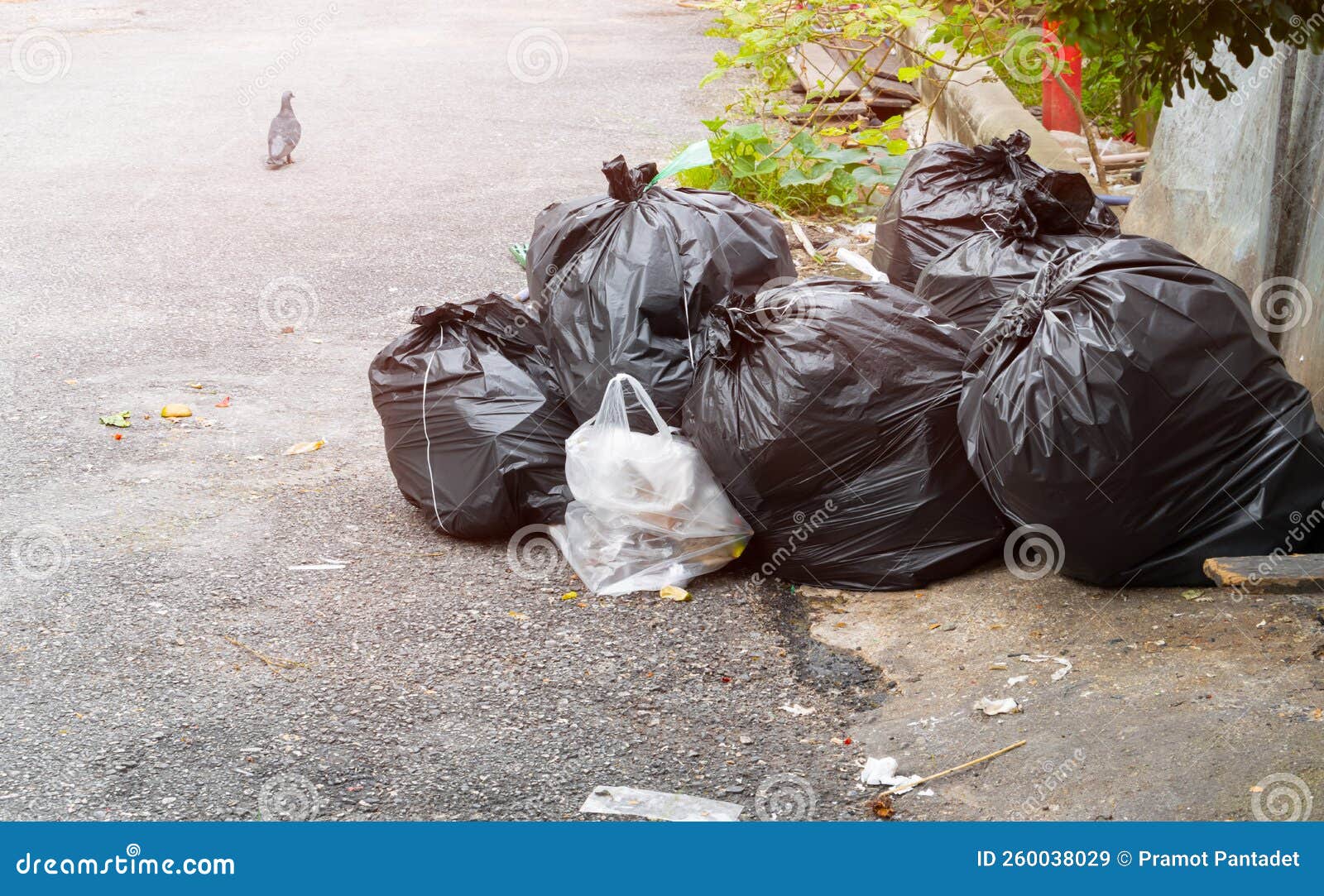 Pile of Garbage Black Bag Roadside in City Stock Image - Image of drop ...