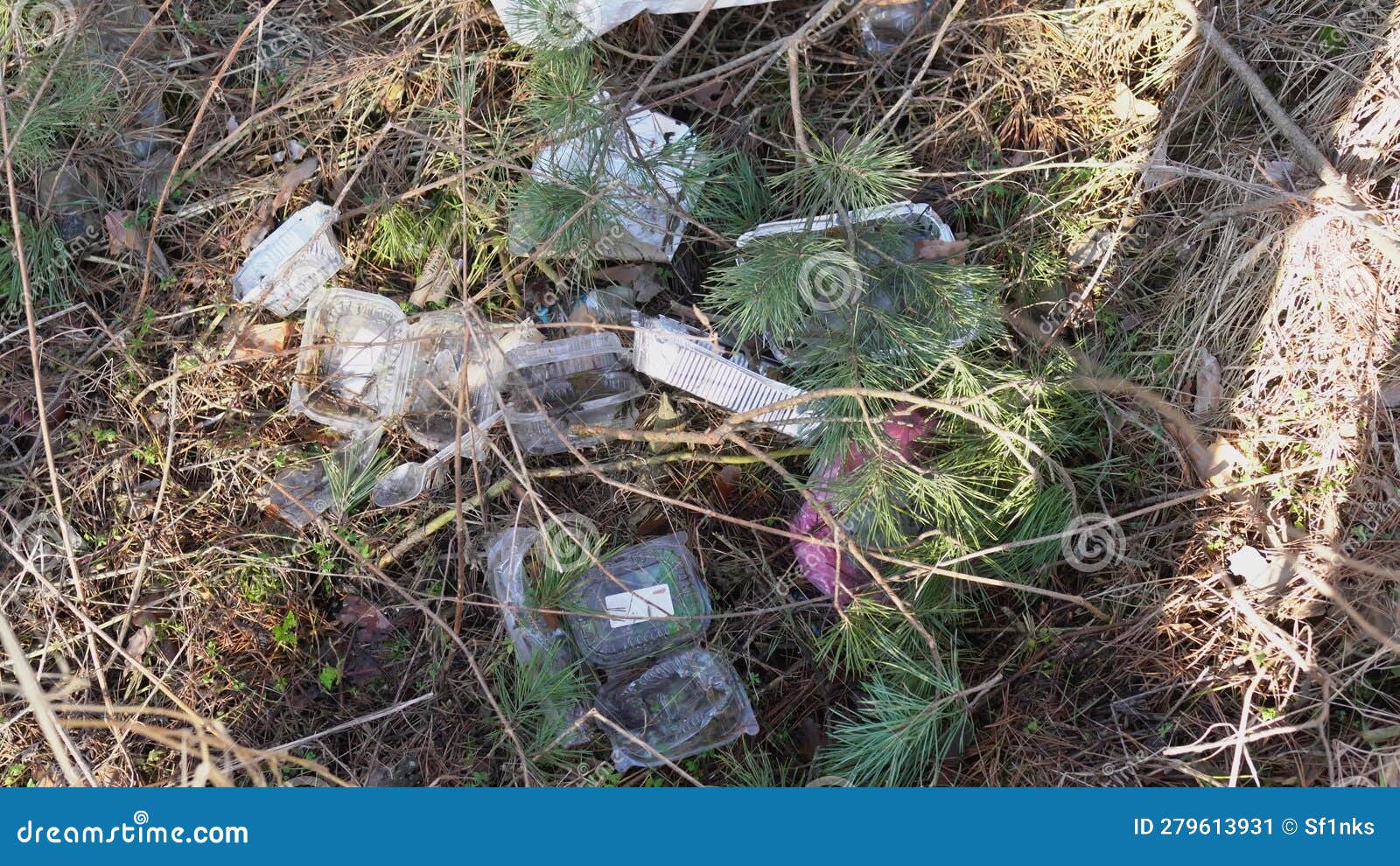 Pile of Garbage in Coniferous Forest - Environment Problems. Used ...