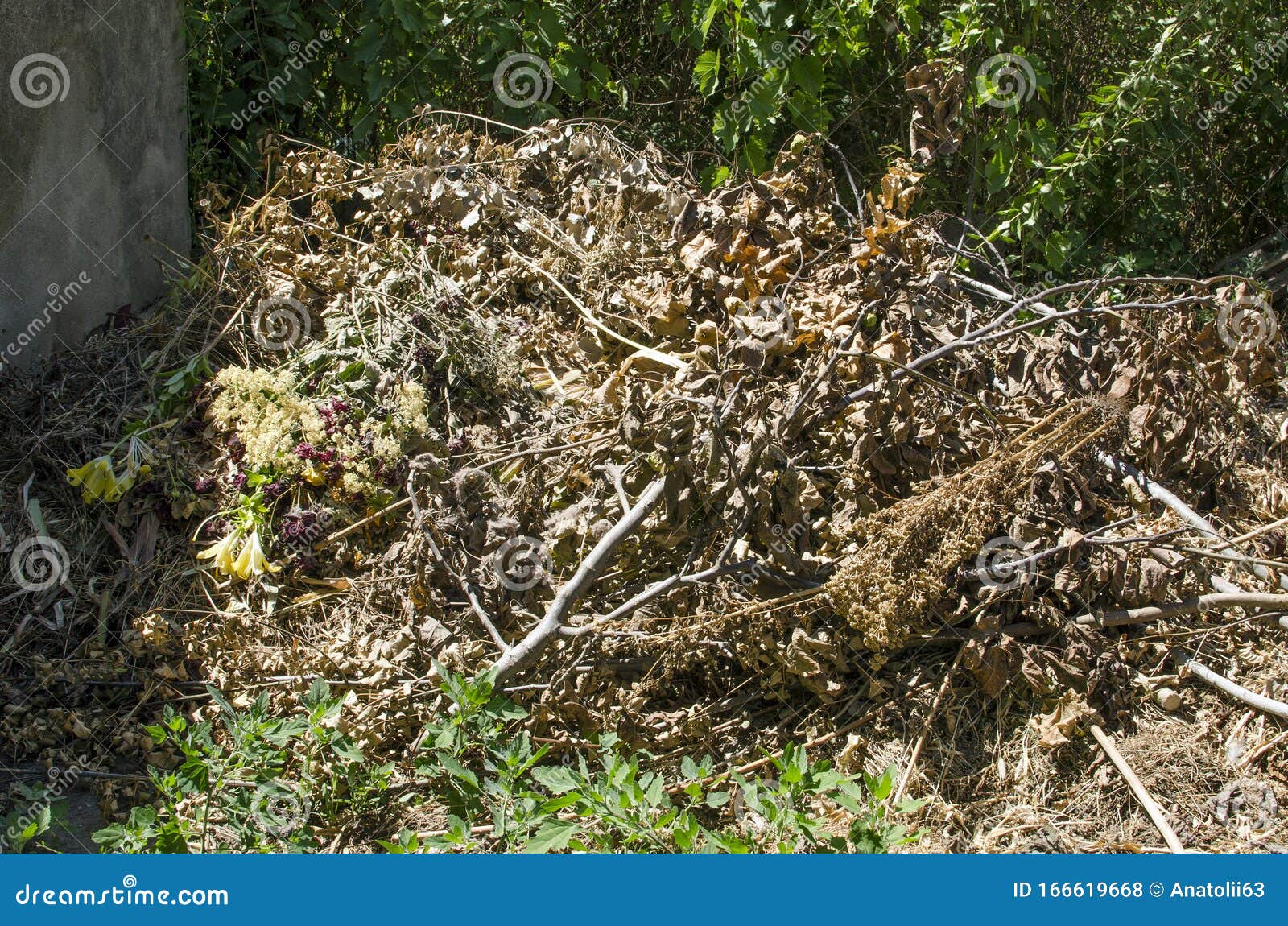 A Pile of Garbage. Dry Branches and Grass Stock Photo - Image of waste ...