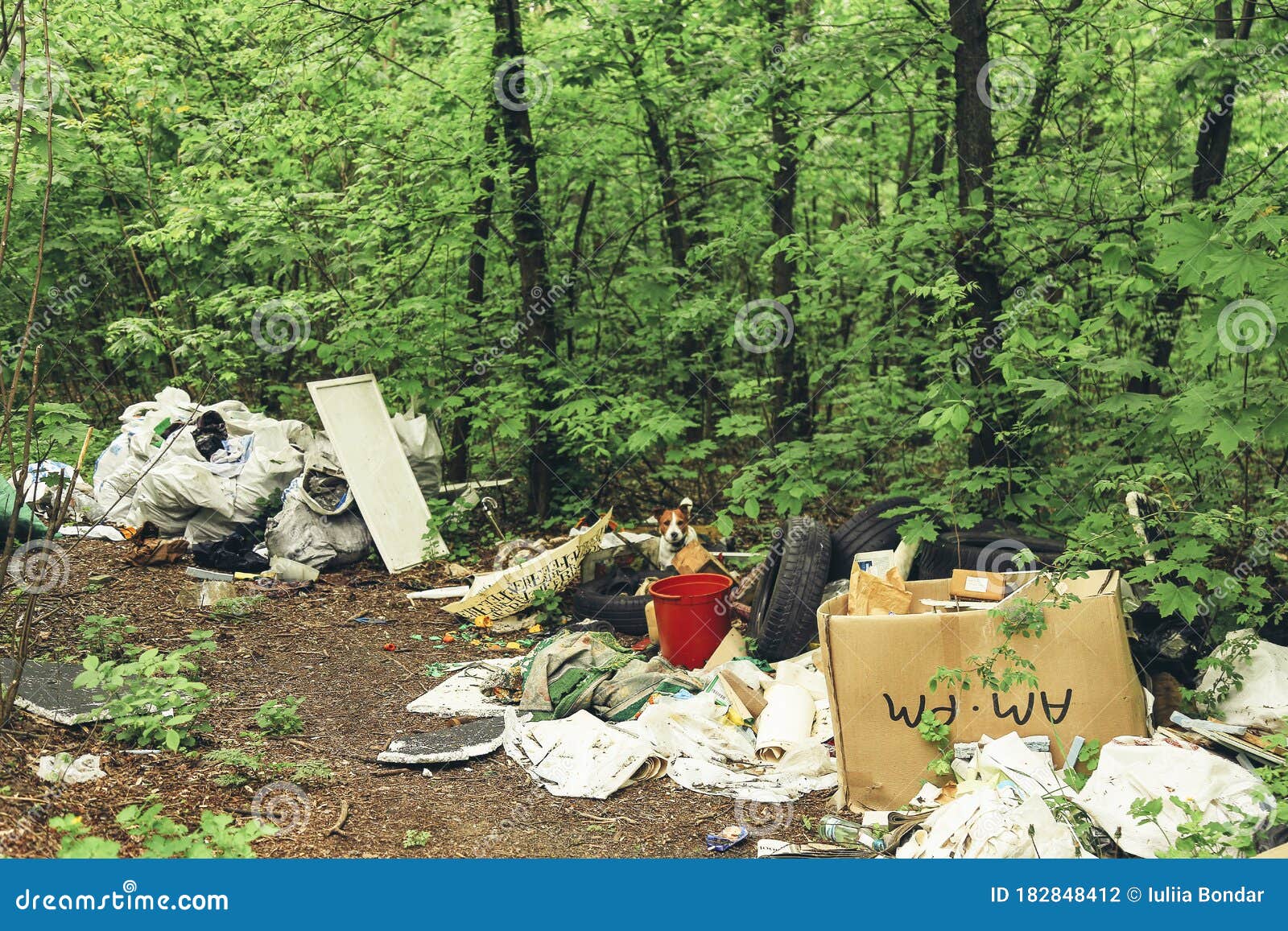 Pile of Garbage on Green Grass in the Nature Stock Photo - Image of ...