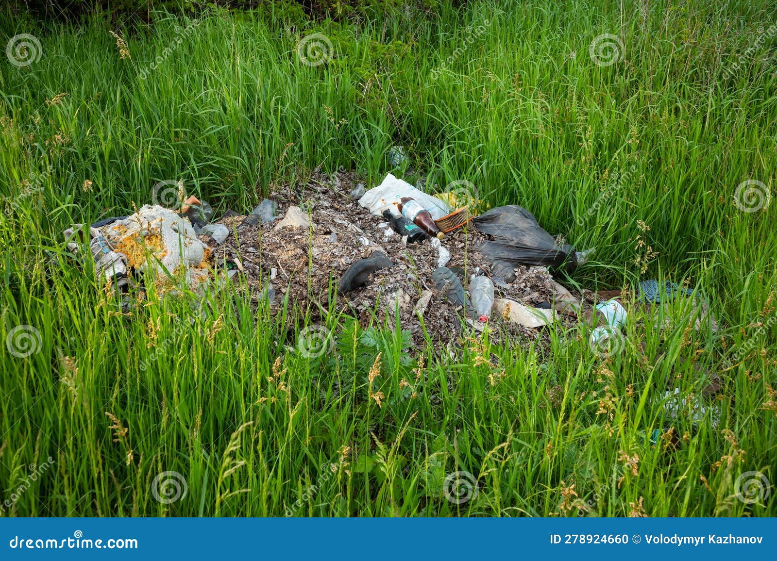 A Pile of Garbage on Green Grass - the Problem of Environmental ...