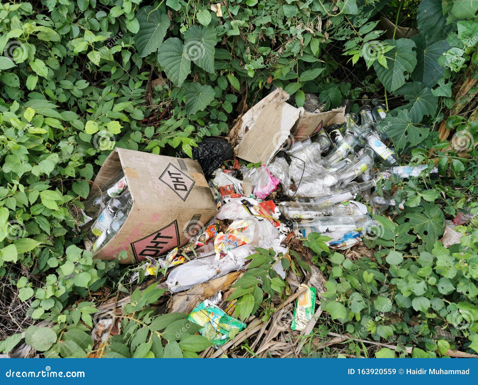 Pile of Garbage in the Middle of Green Leaves that Thrive Editorial ...