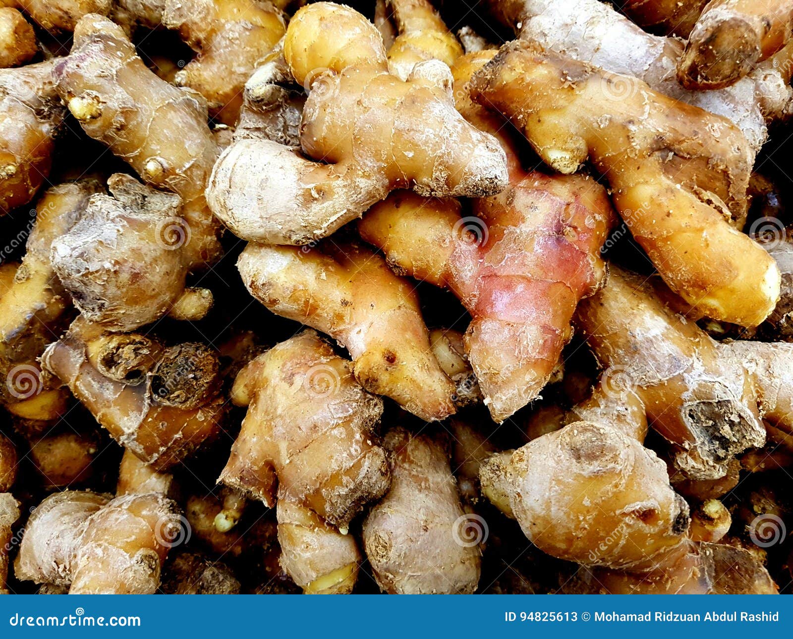 Pile Of Gingers Royalty-Free Stock Photography | CartoonDealer.com ...